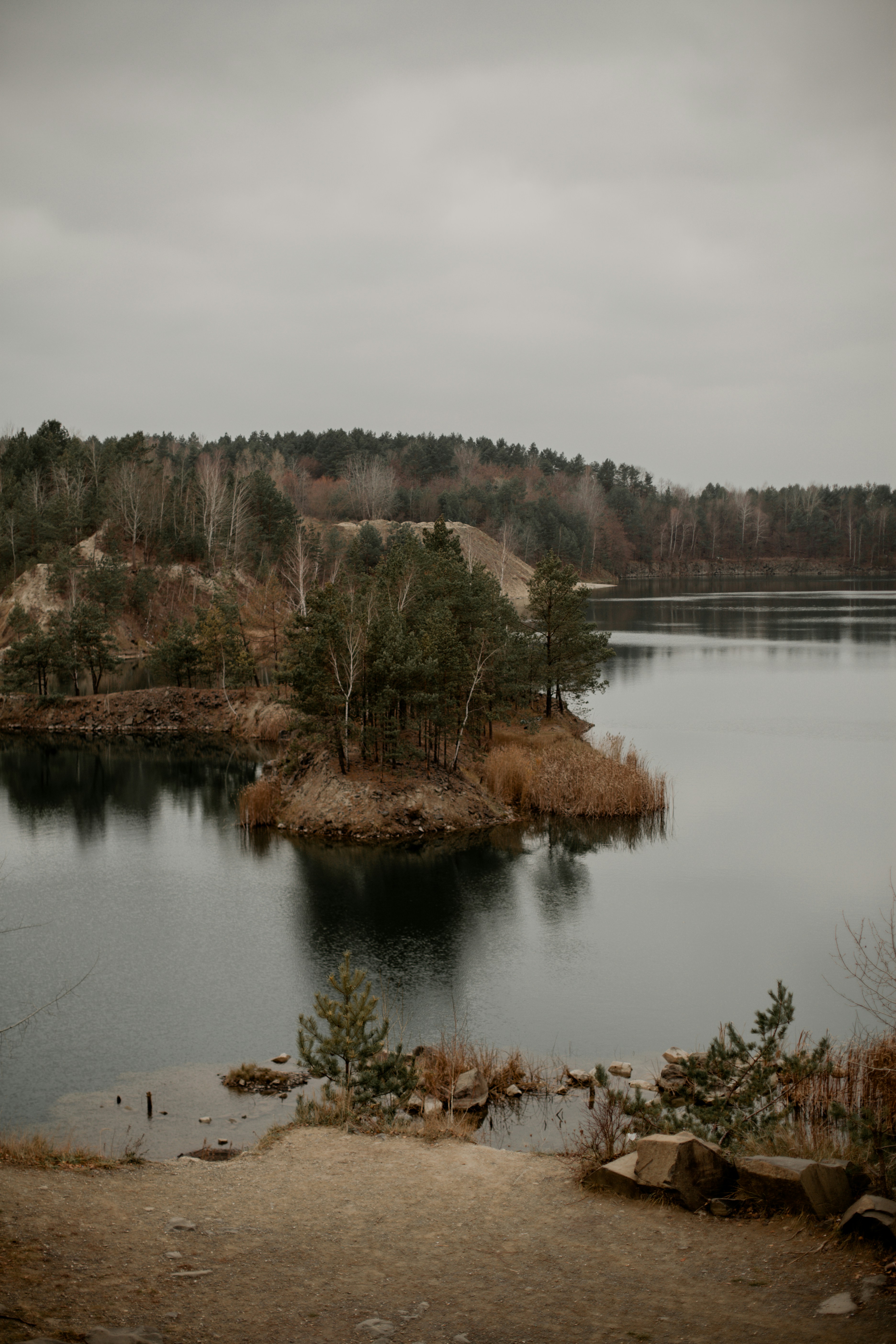 a body of water surrounded by a forest