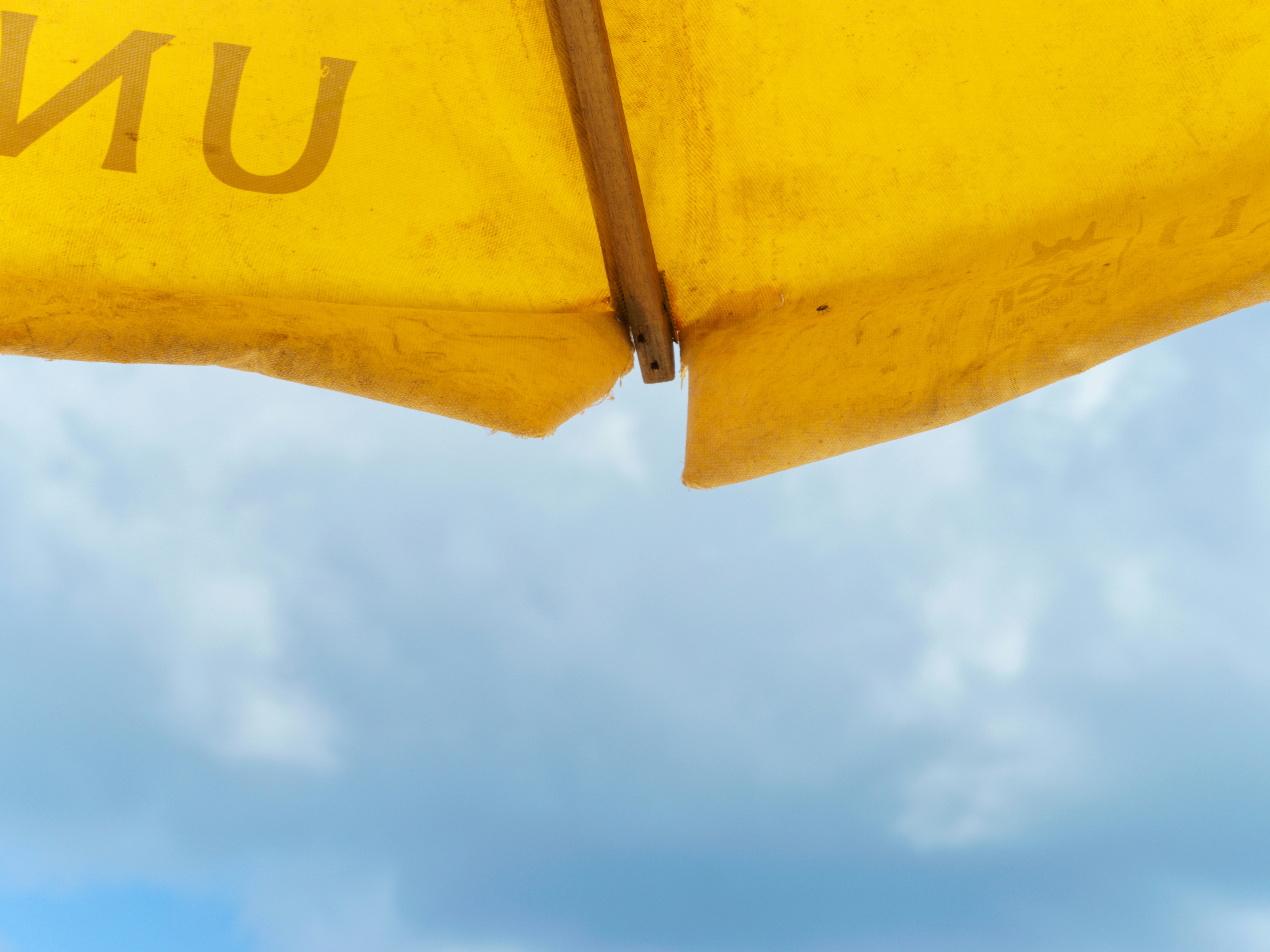 Sunlit Yellow Canopy Against Open Sky