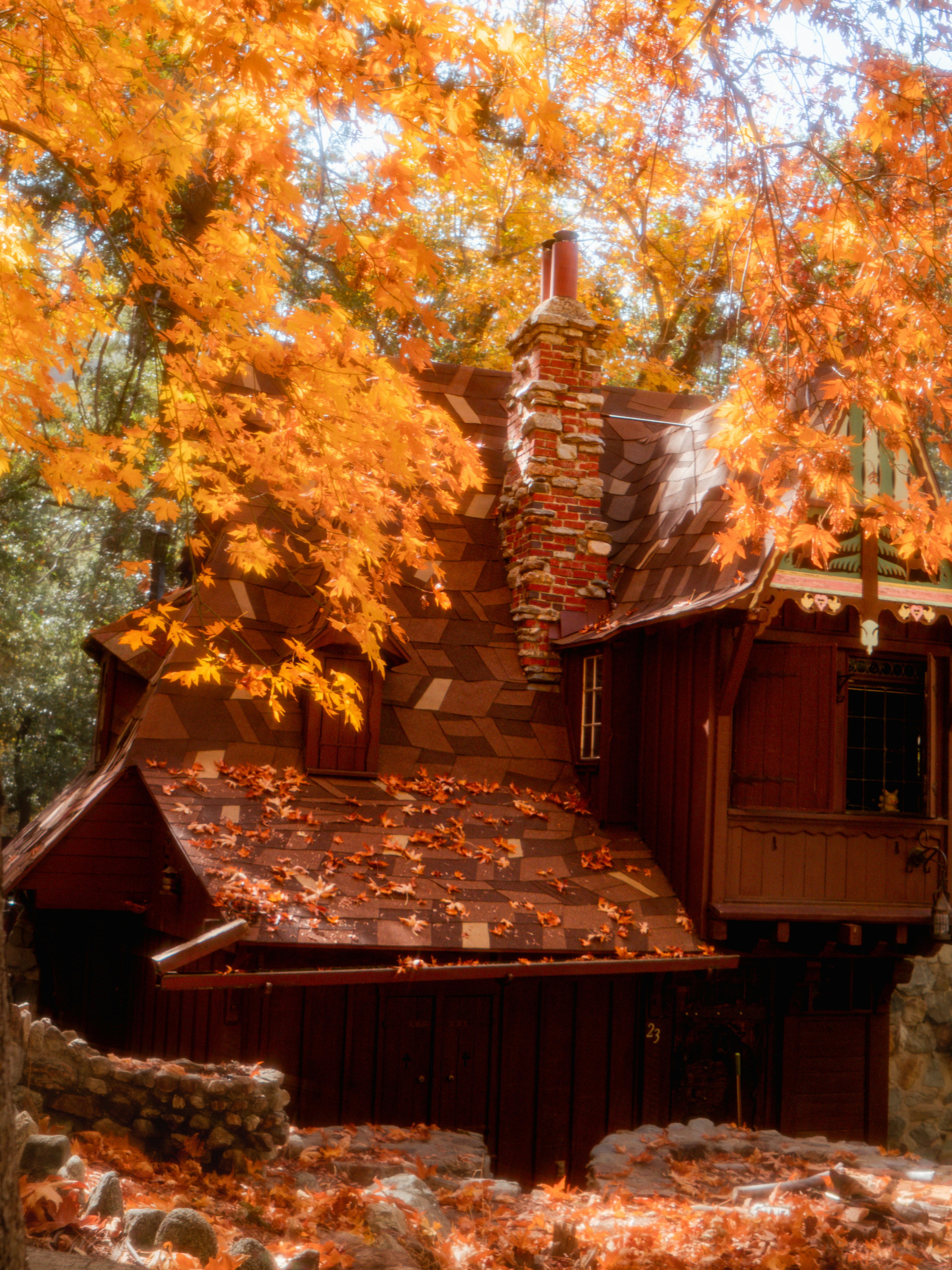 A cabin in the woods surrounded by fall leaves photo – Free ...
