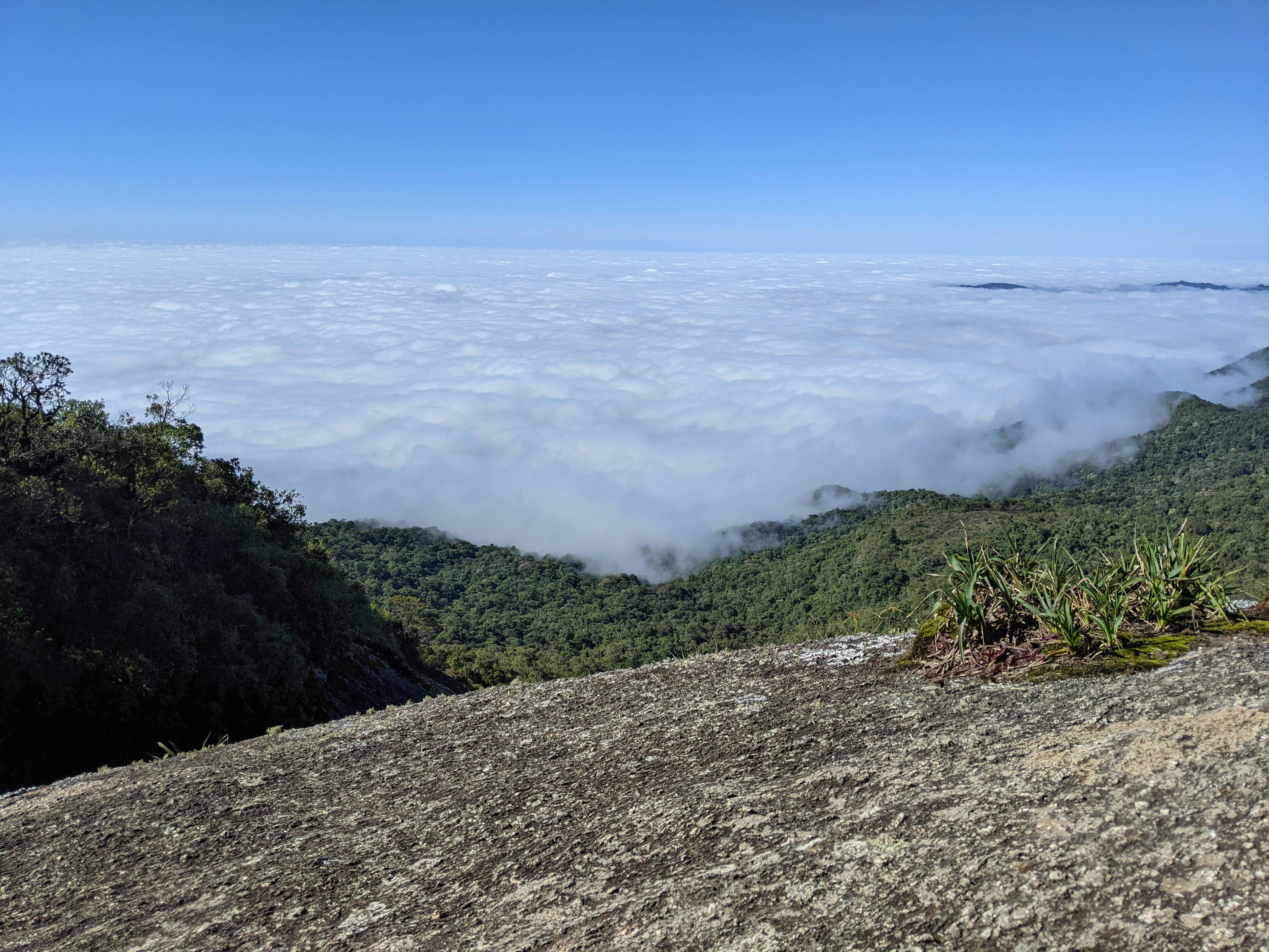 Expansive view of a lush green valley blanketed by a thick layer of clouds under a clear blue sky.
