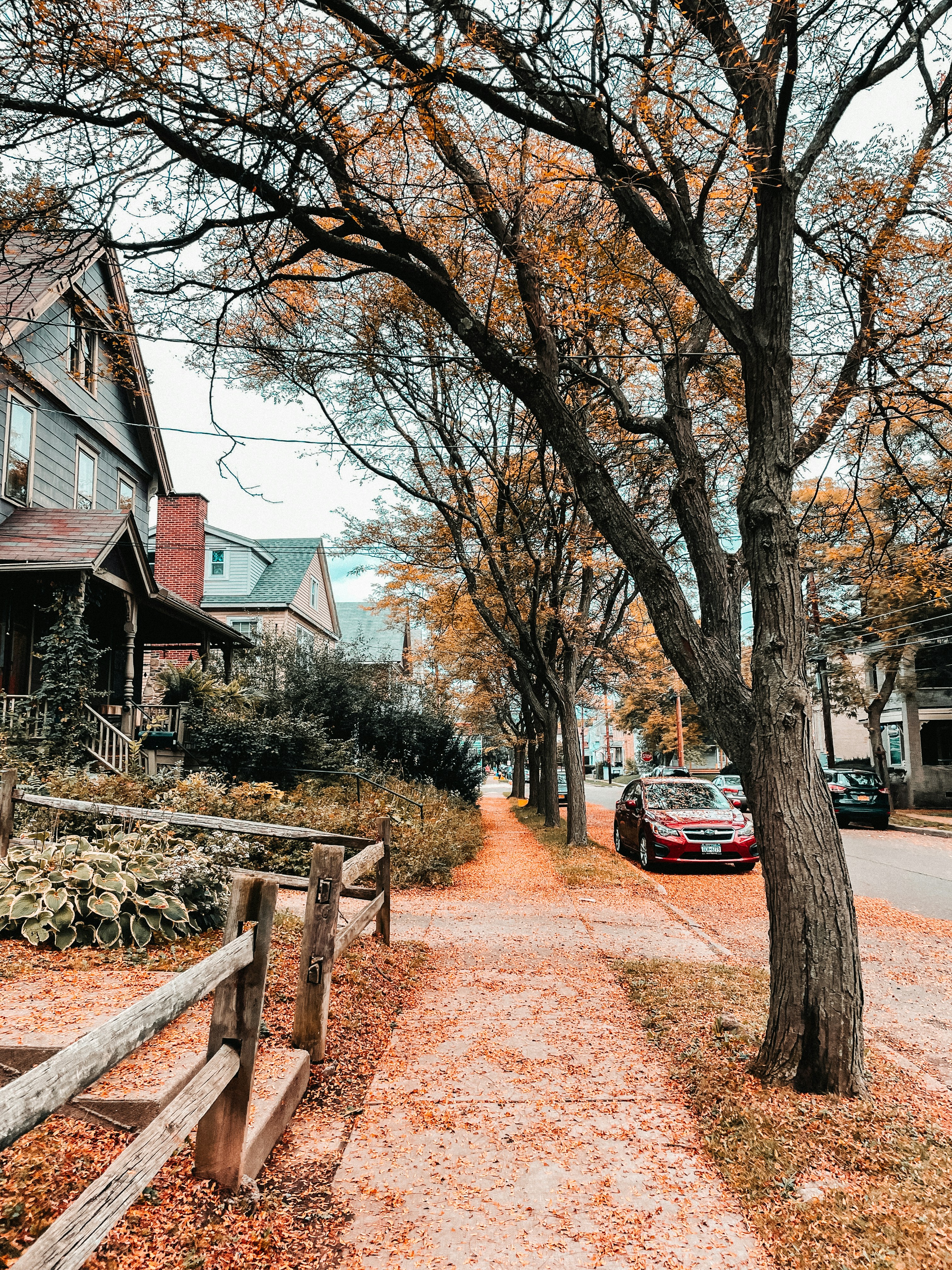 Crimson Car on a Leaf-Strewn Street Framed by Autumn-Drifted Trees
