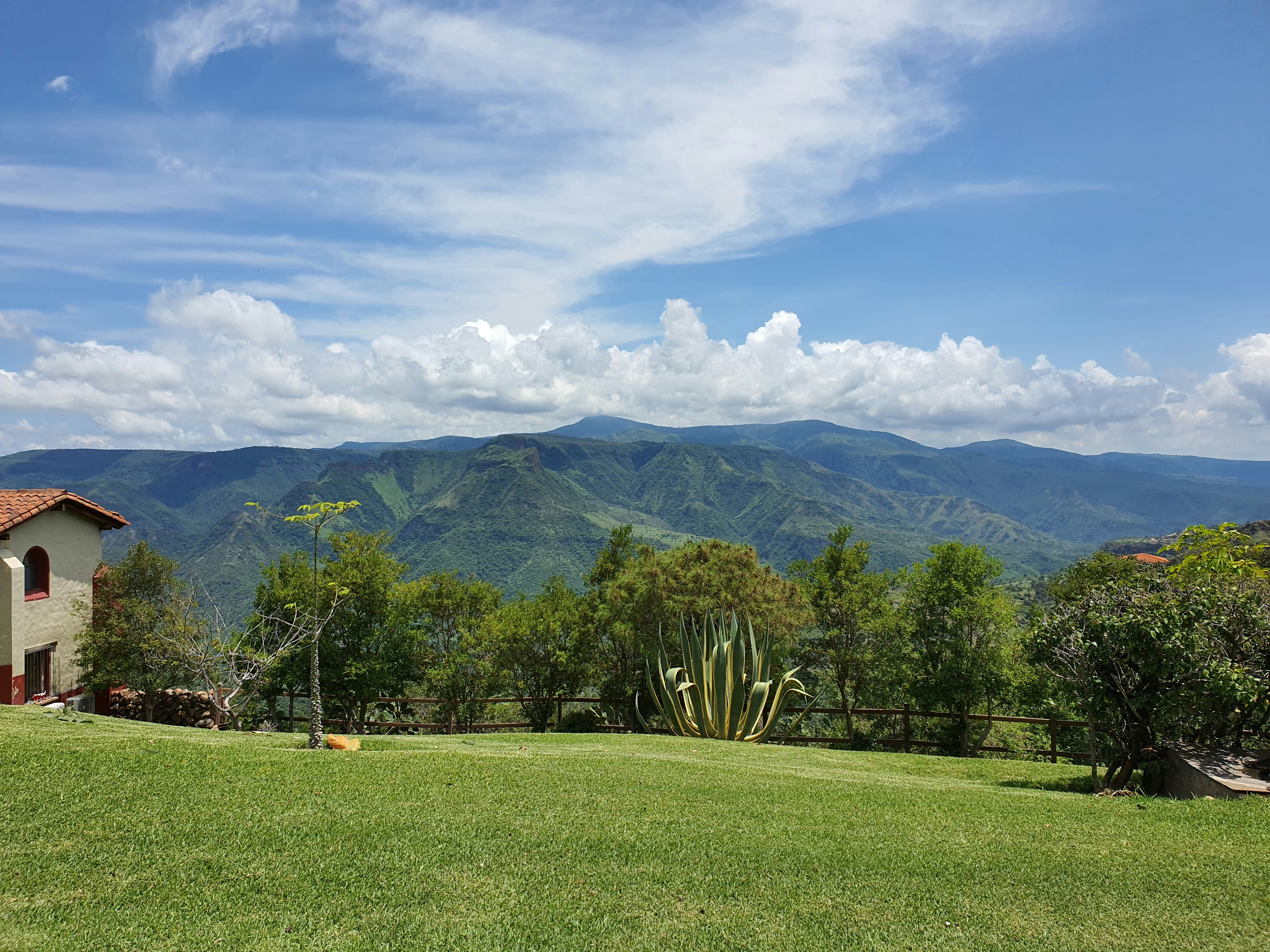 Lush green landscape with distant mountains under a bright blue sky, featuring a charming house and vibrant vegetation.