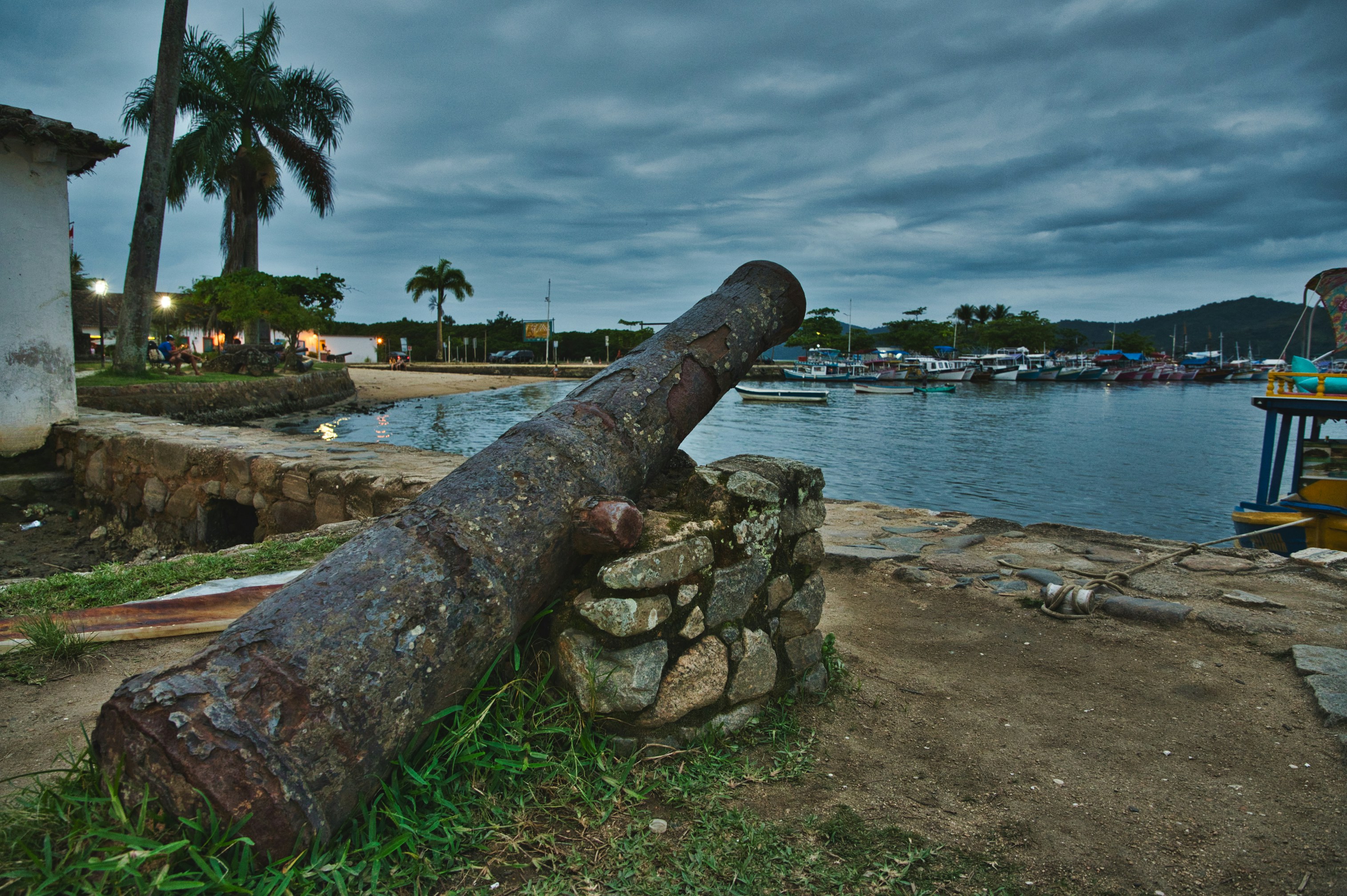 A large log sitting on the ground next to a body of water photo – Free ...