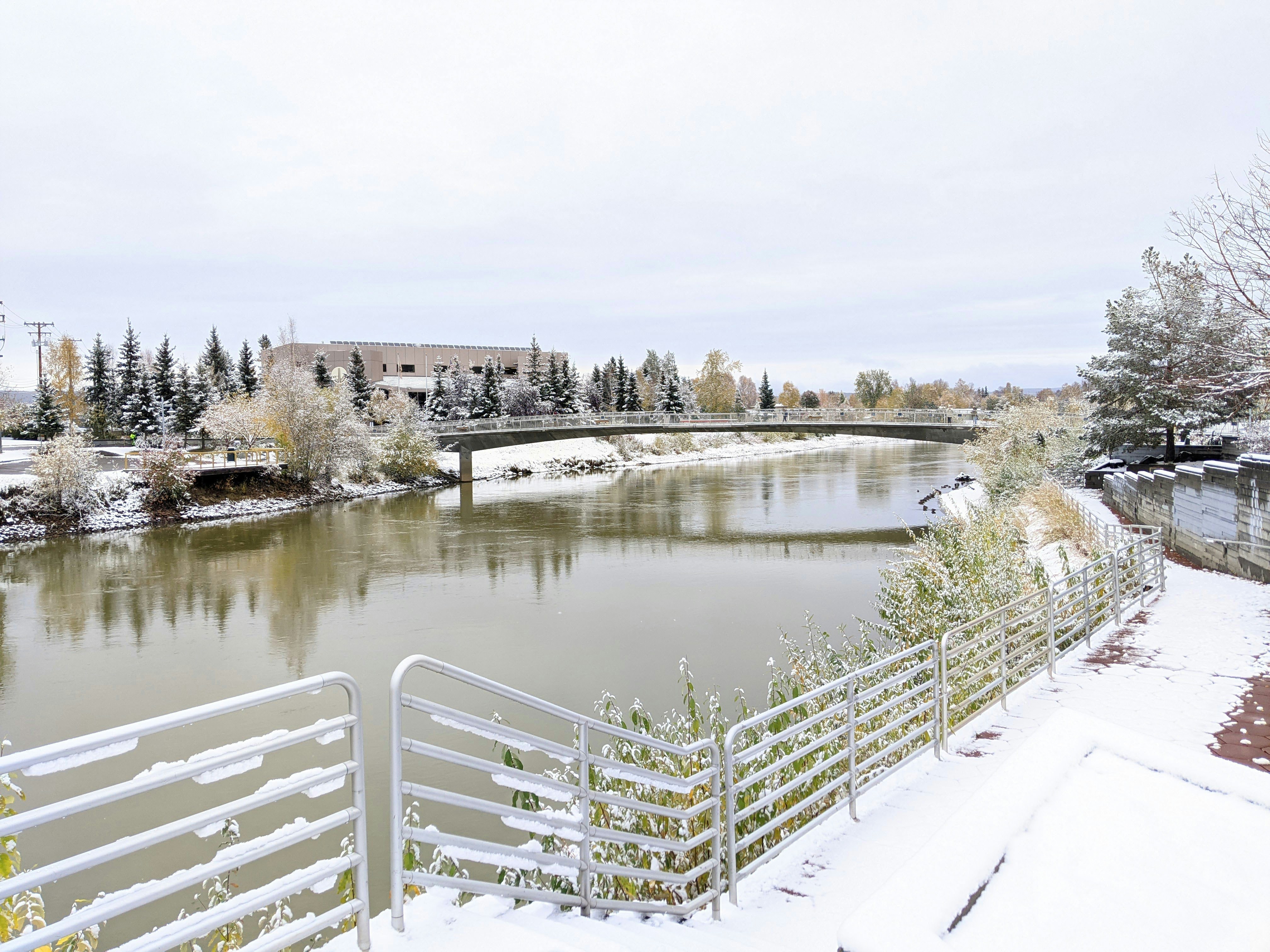 Railings in Snow: A Quiet Riverside Moment Under Gray Skies