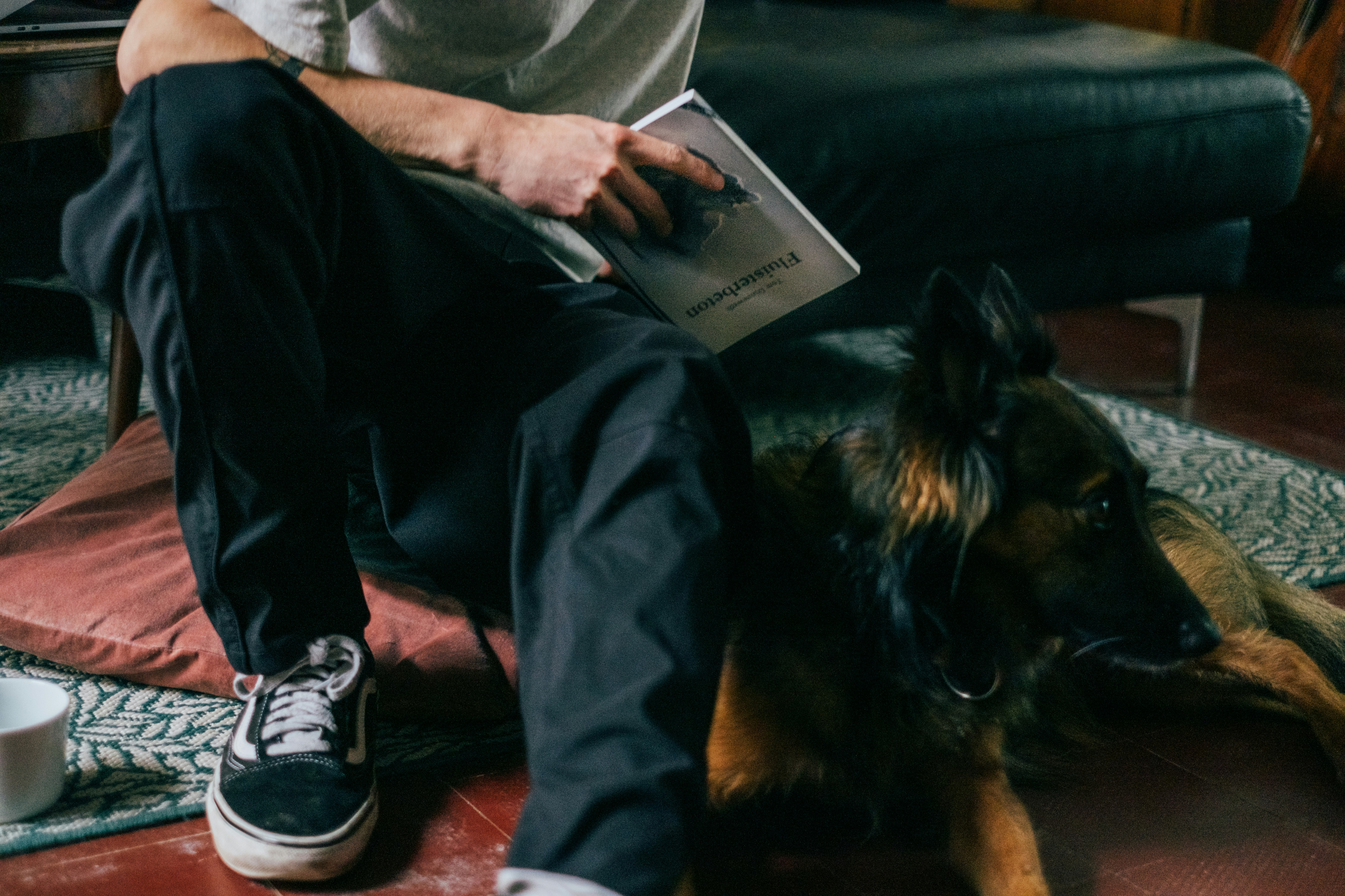 Evening Read and Loyal Guardian by the Living Room Rug