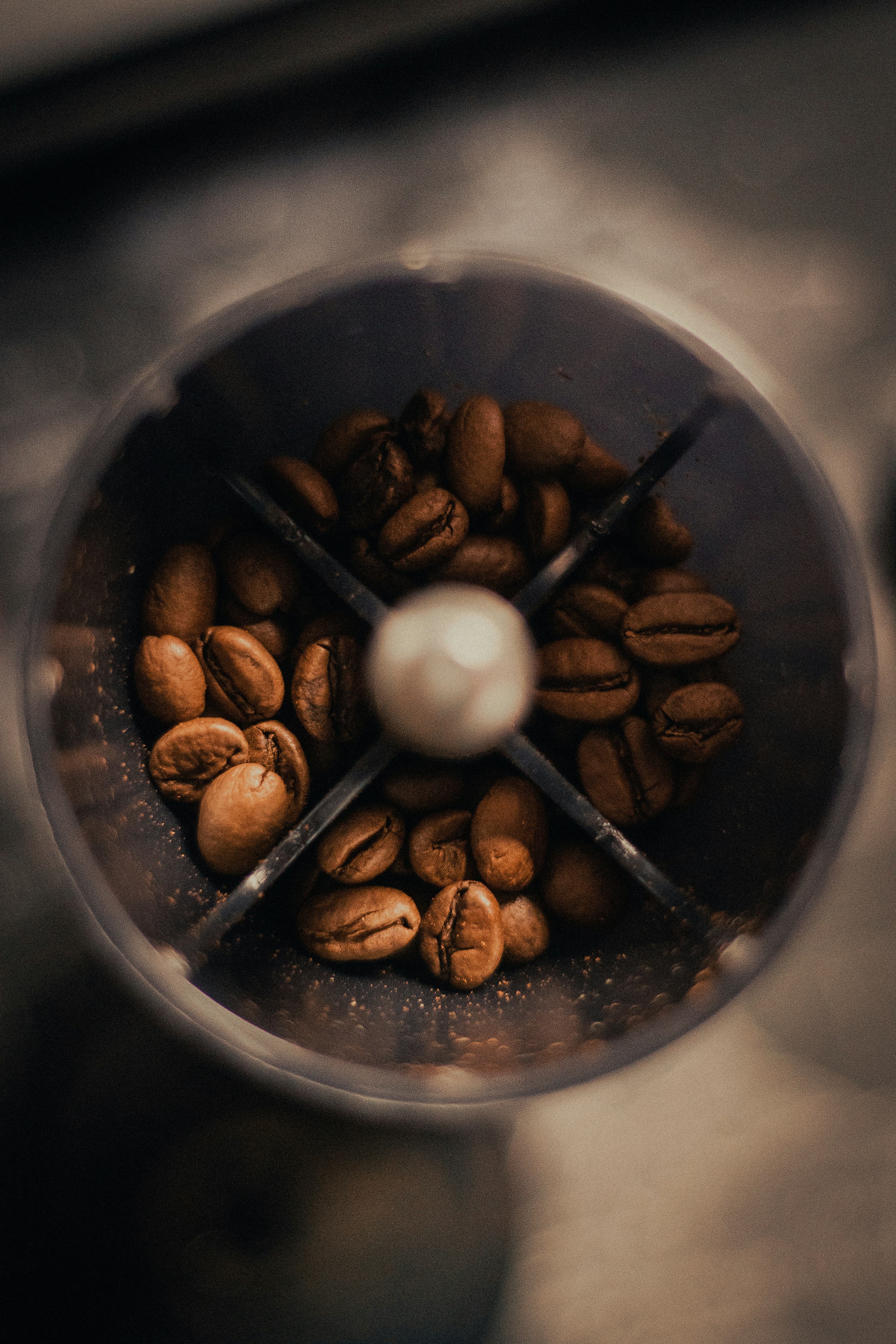 Close-up of a coffee grinder filled with roasted coffee beans, showcasing the intricate details of the beans and the grinder's mechanism.