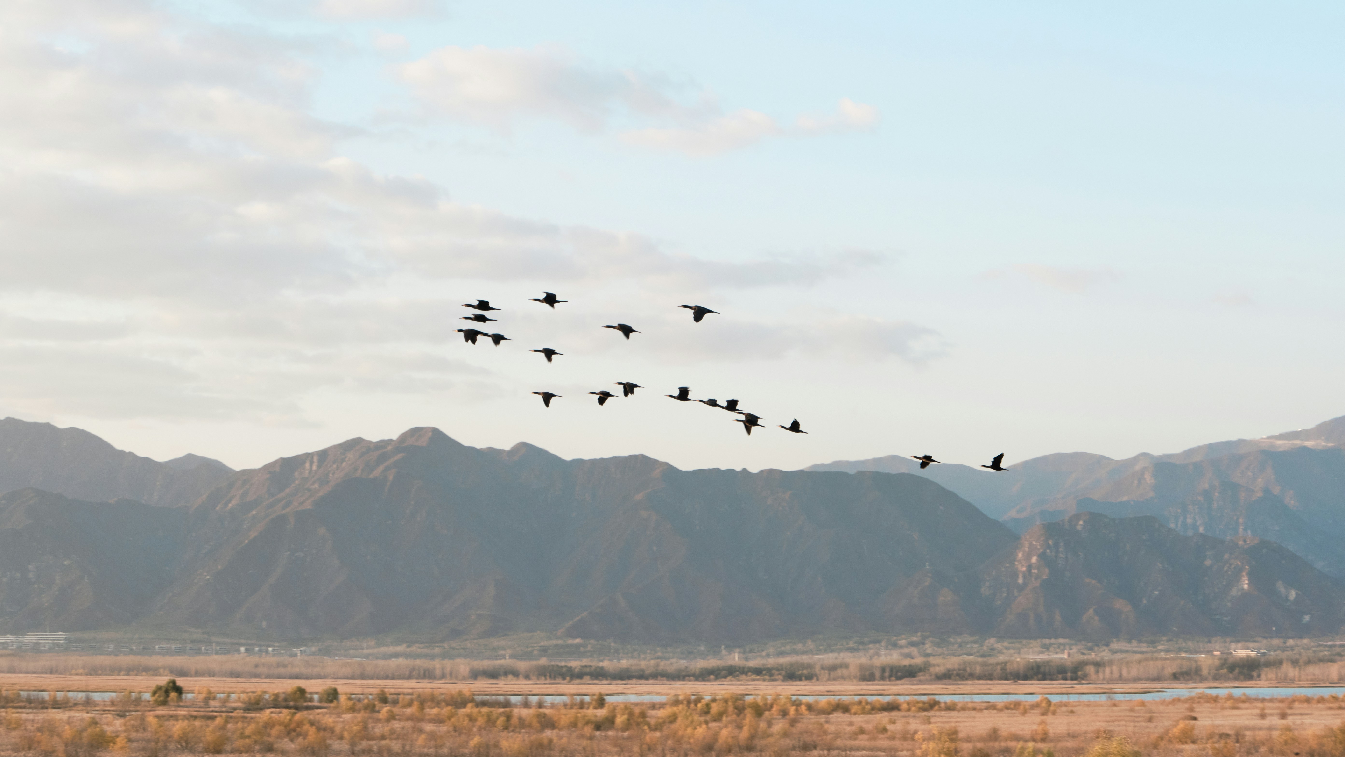 Une volée d’oiseaux survolant une chaîne de montagnes photo – Photo ...
