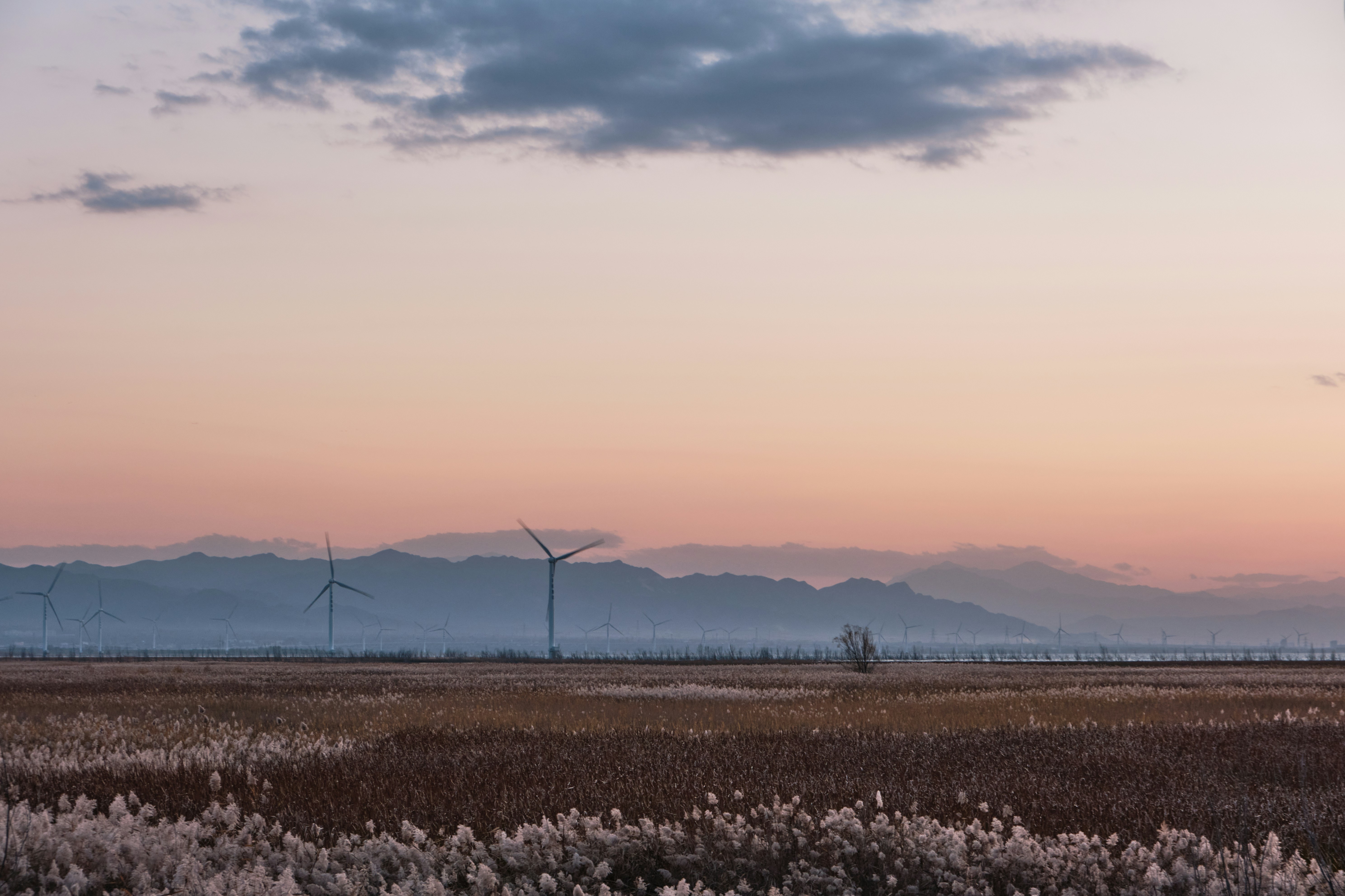 Dawn on the Wind Farm Plains