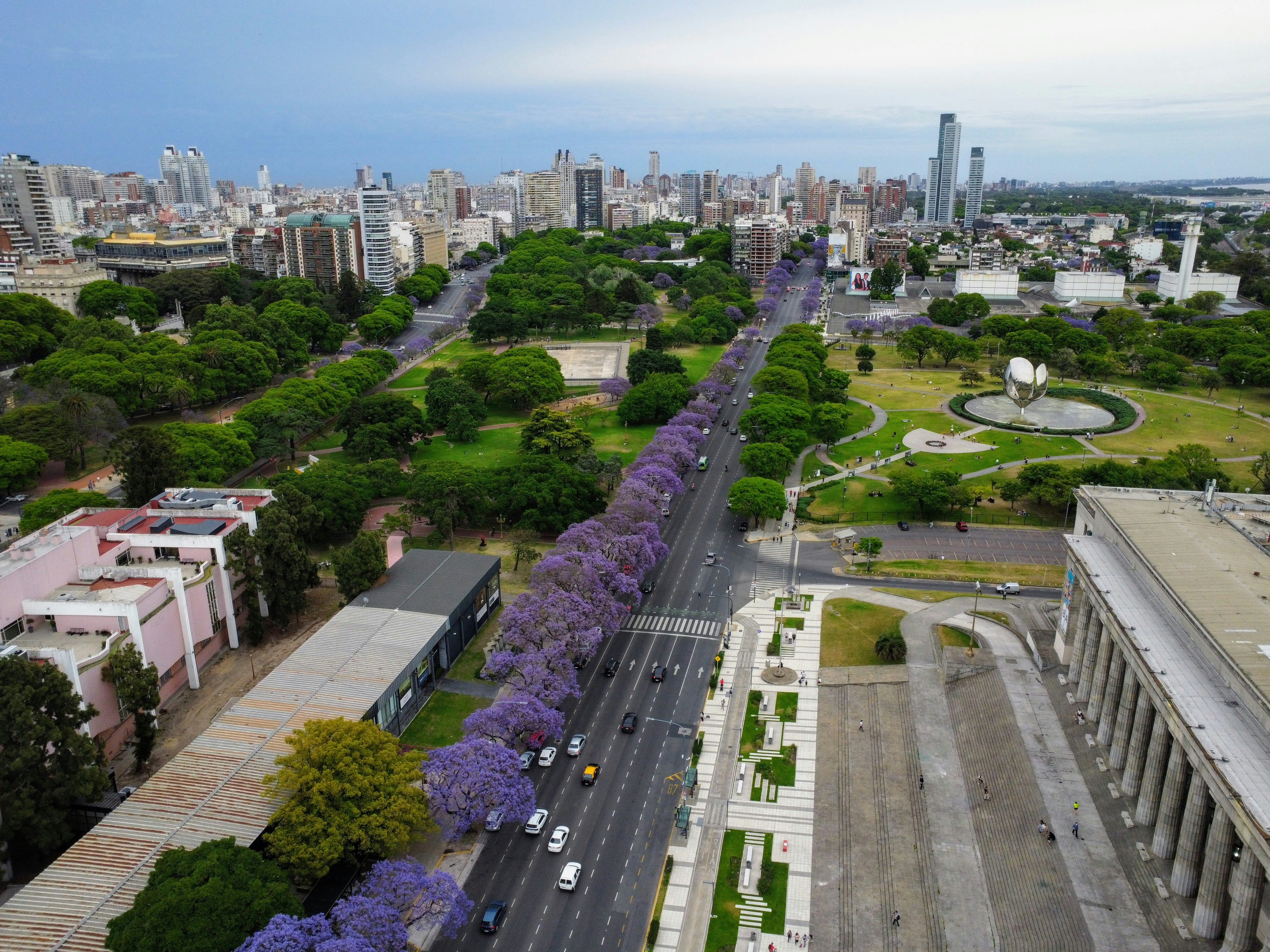 Aerial view of a cityscape featuring a vibrant avenue lined with jacaranda trees in full bloom, contrasting with urban architecture. The scene captures the harmony between nature and city living.