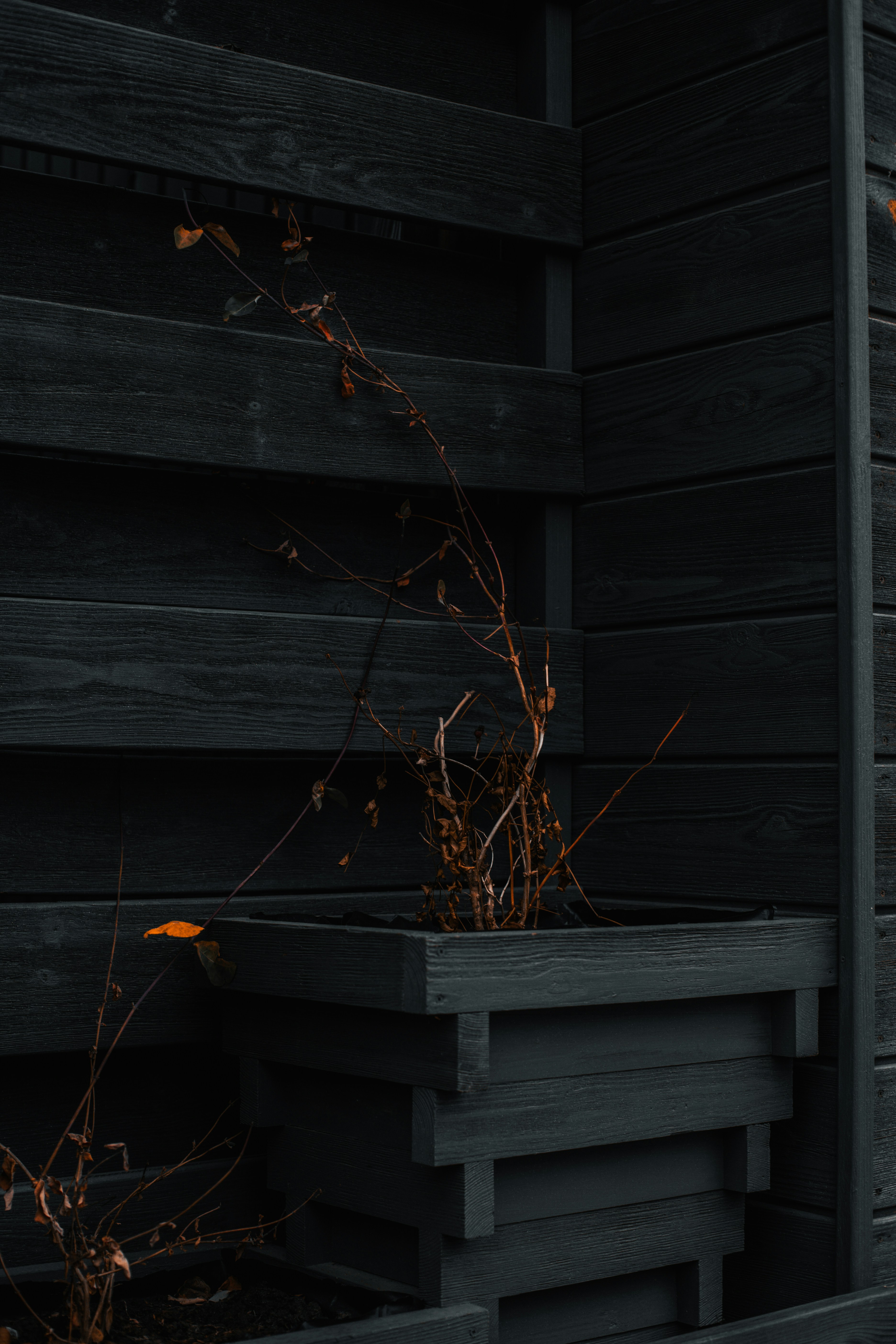 a plant in a wooden planter on the side of a building
