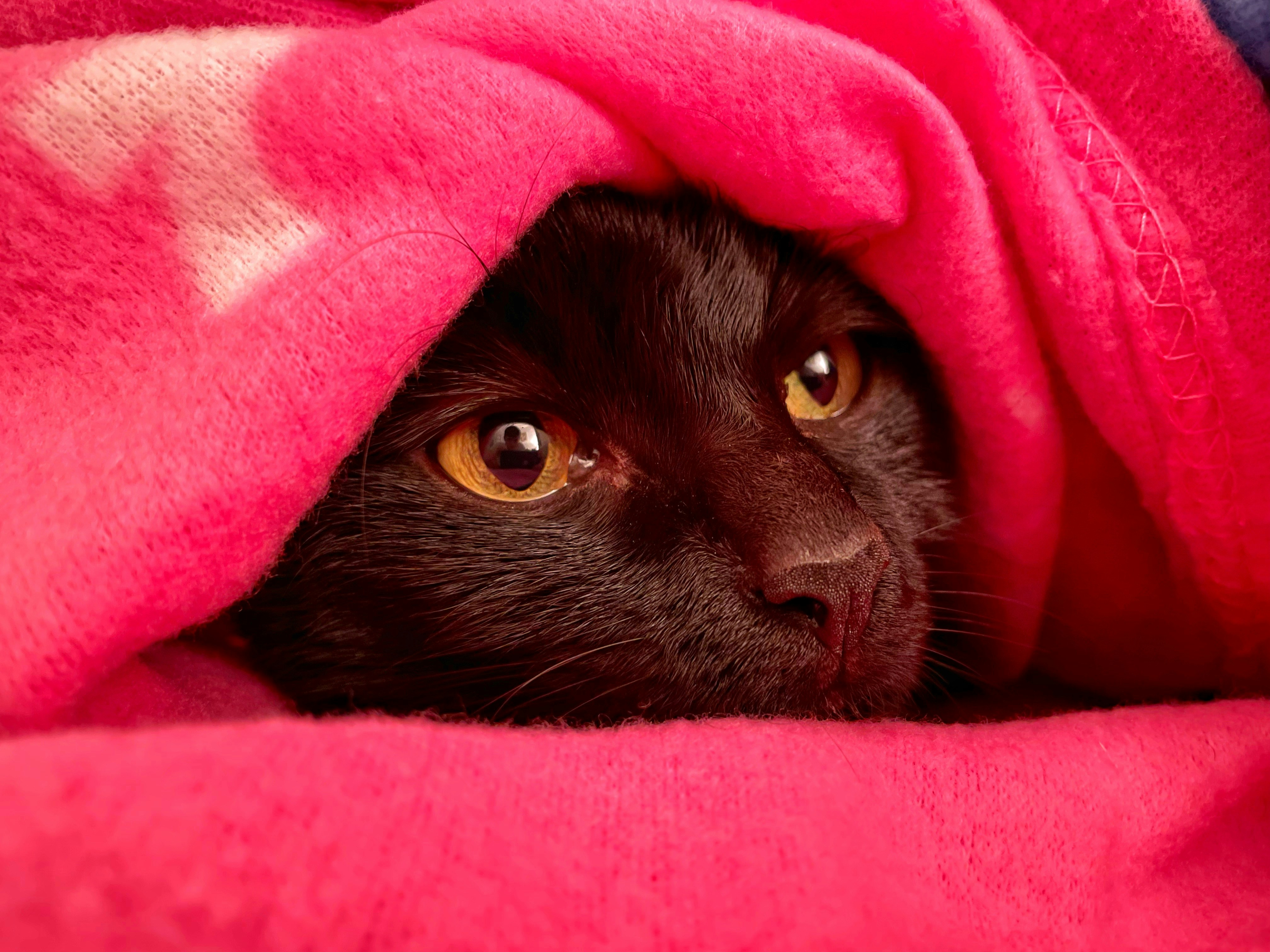 Hide and seek