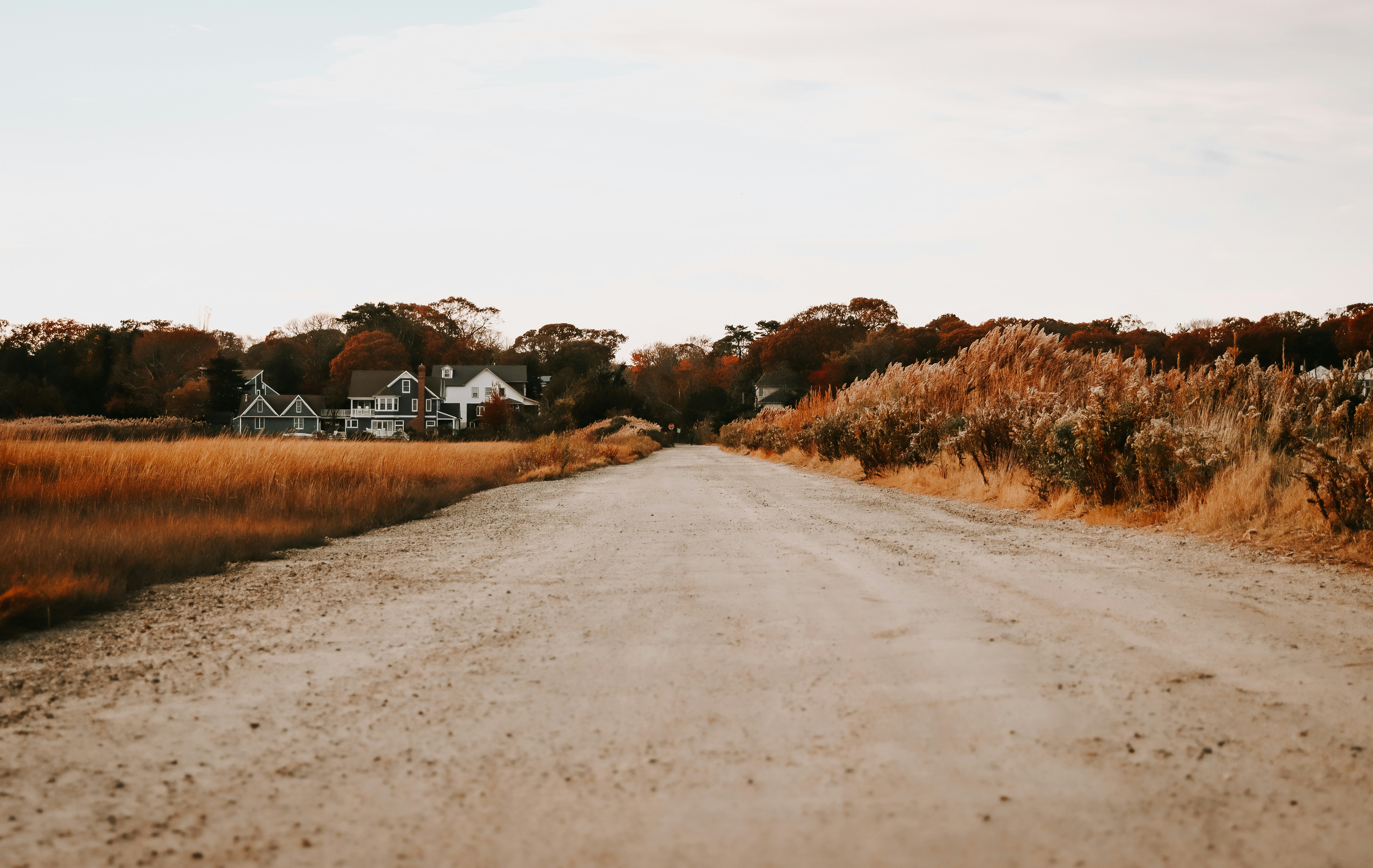 Vanishing Gravel Road Toward a Suburban Autumn Haven