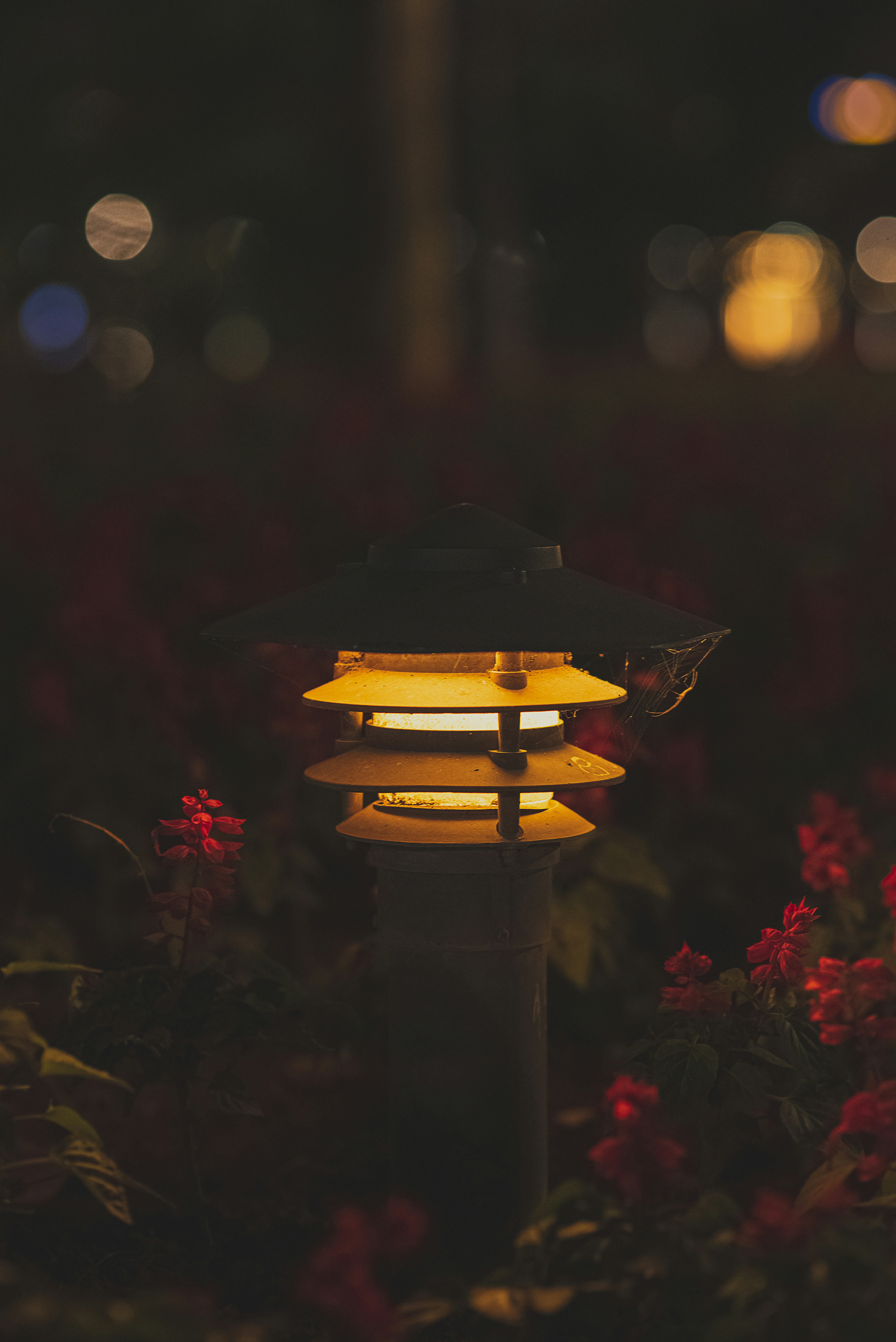 Lantern Glow in a Quiet Night Garden