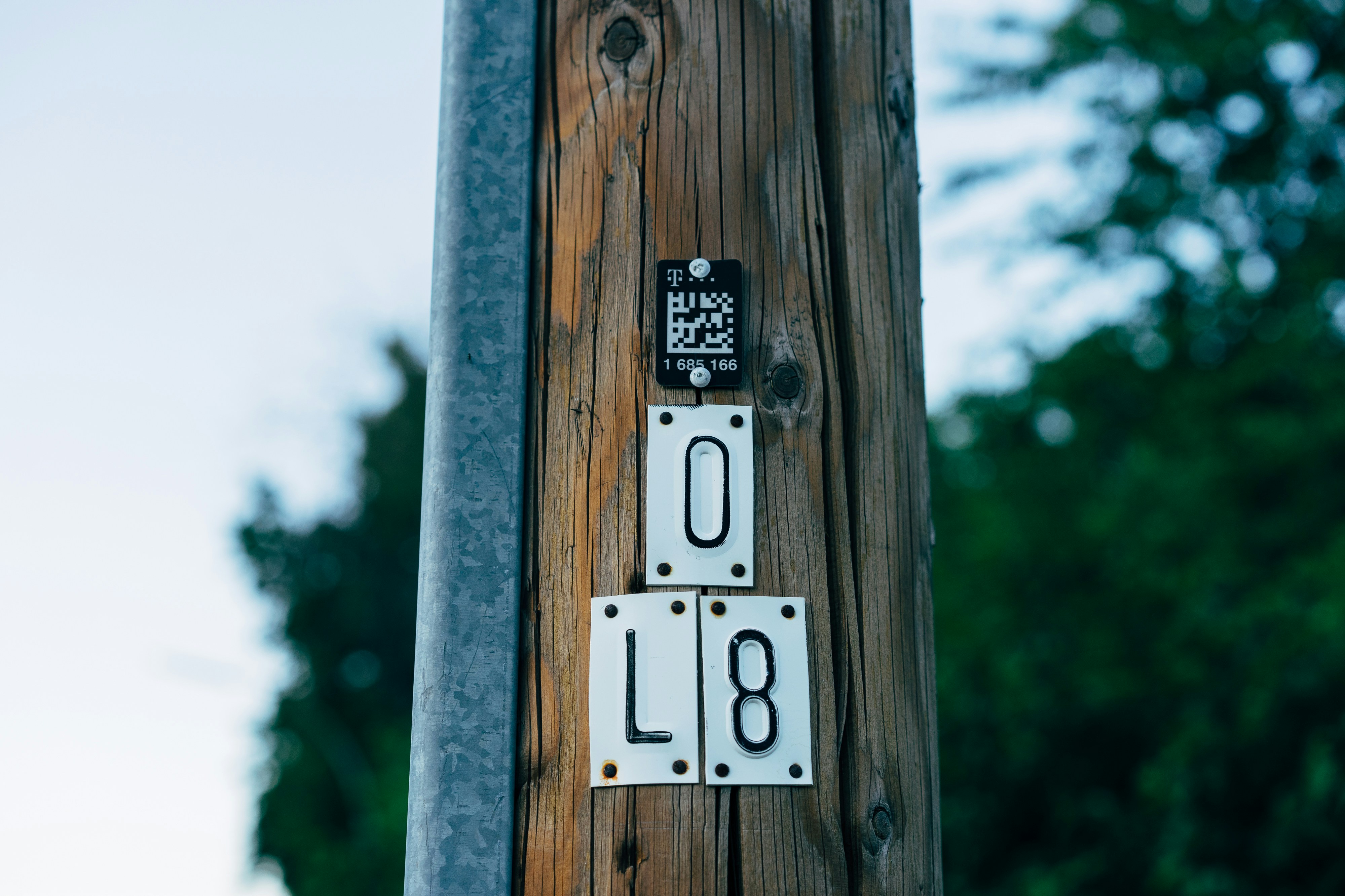 Telephone Pole Close Up