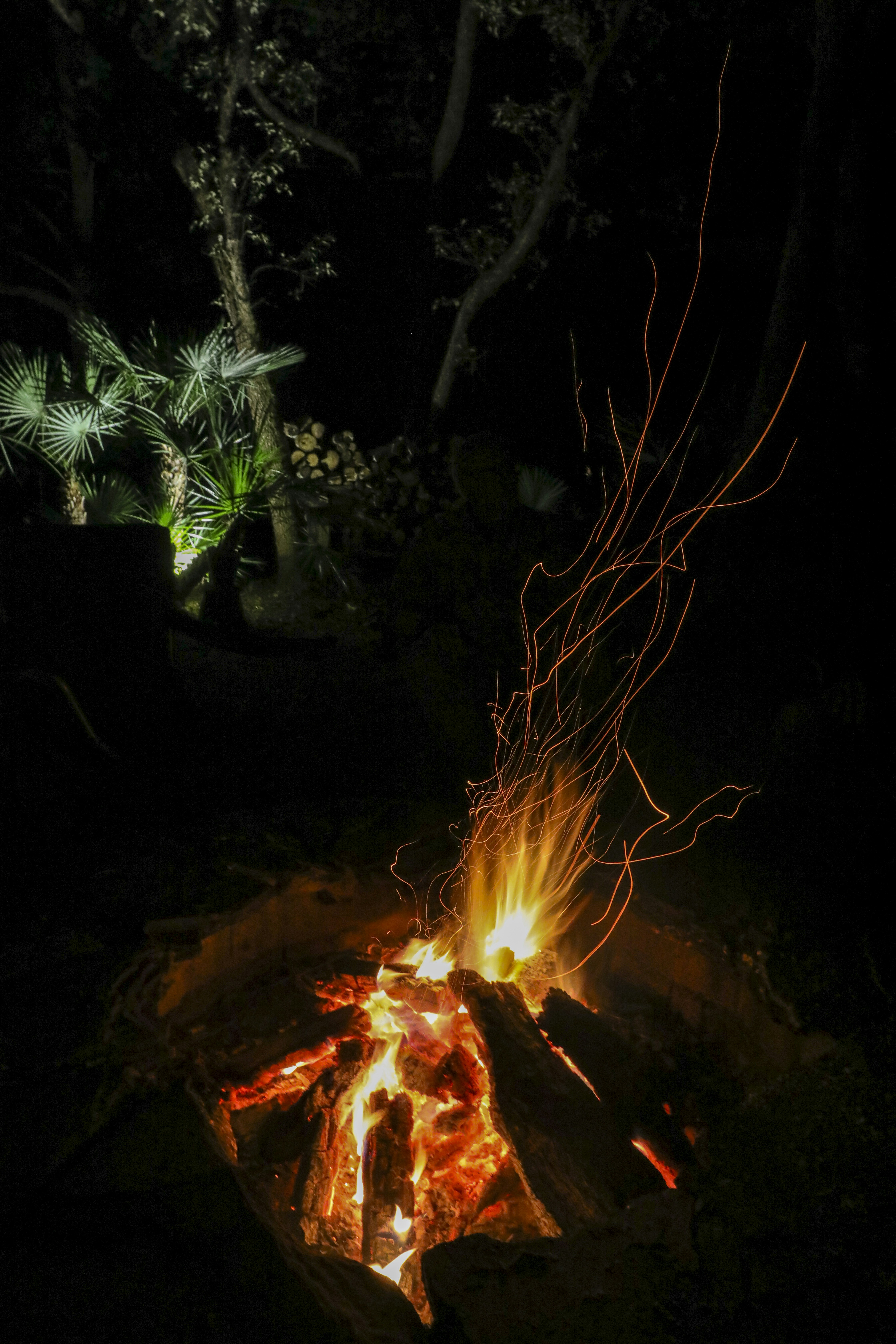 Flickering flames rise from a campfire, illuminating surrounding darkness while sparks swirl upward. Lush greenery and stacked logs are subtly visible in the background.