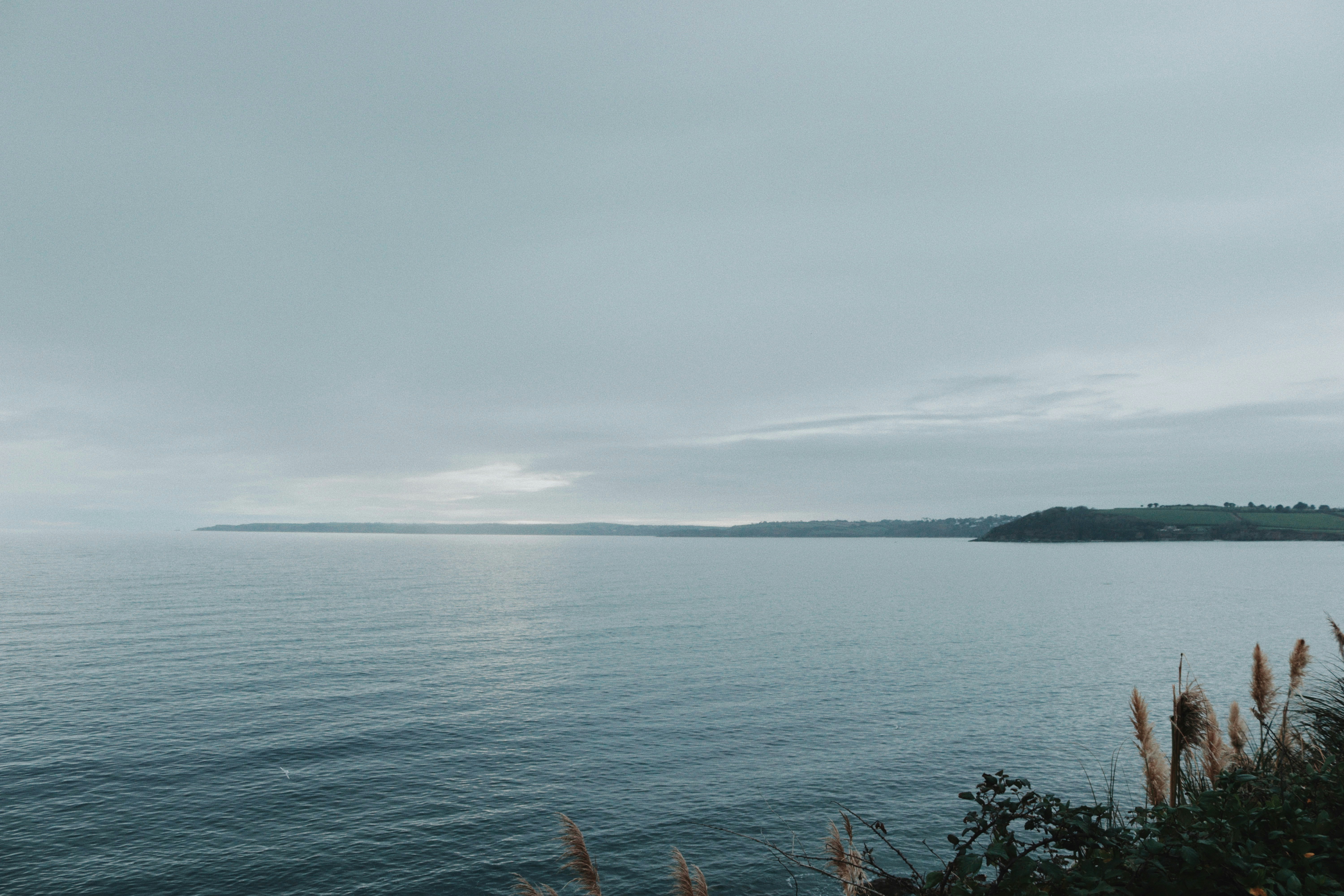 📍 Falmouth, Cornwall  | a body of water surrounded by trees and grass
