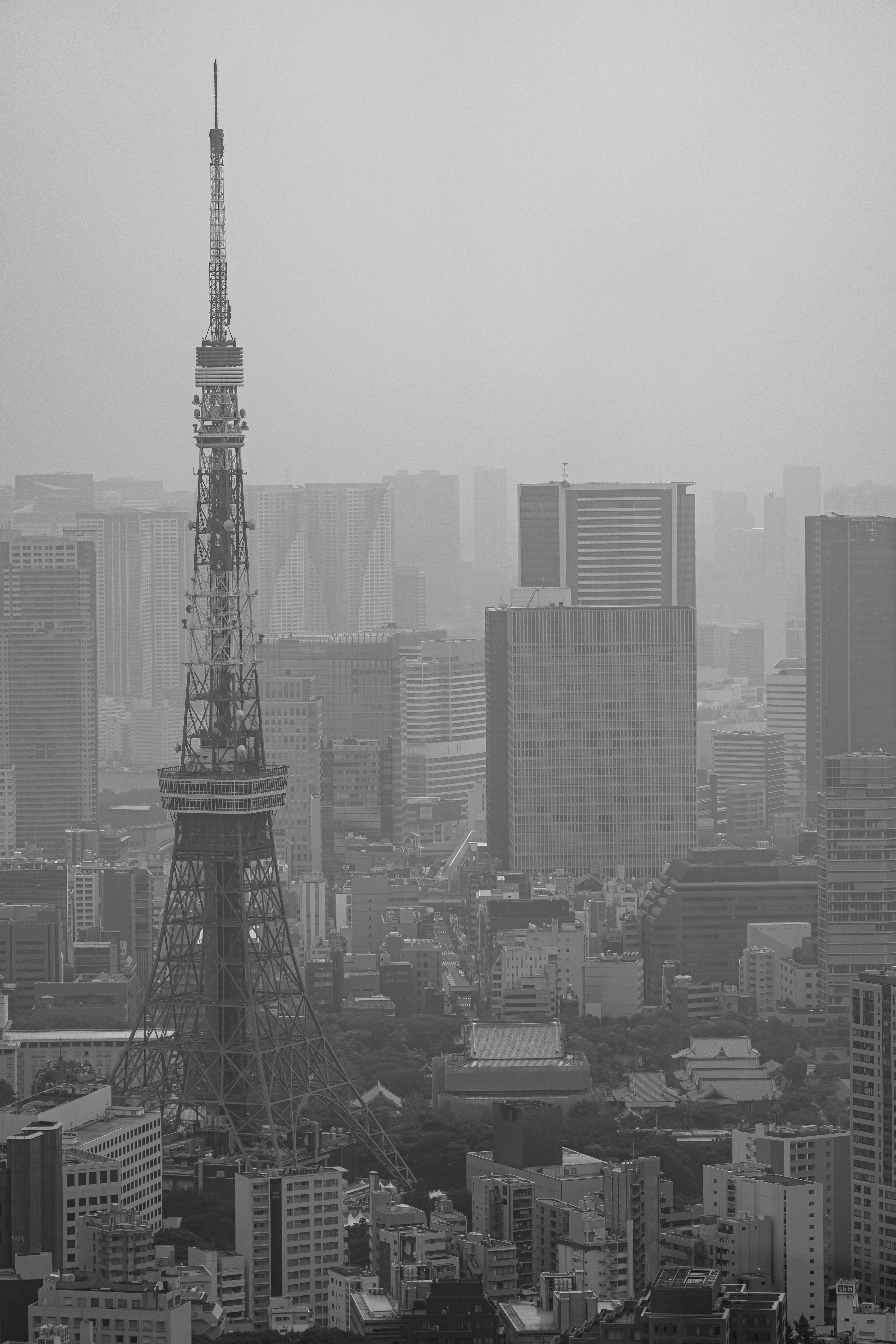 A view of Tokyo from the observatory.