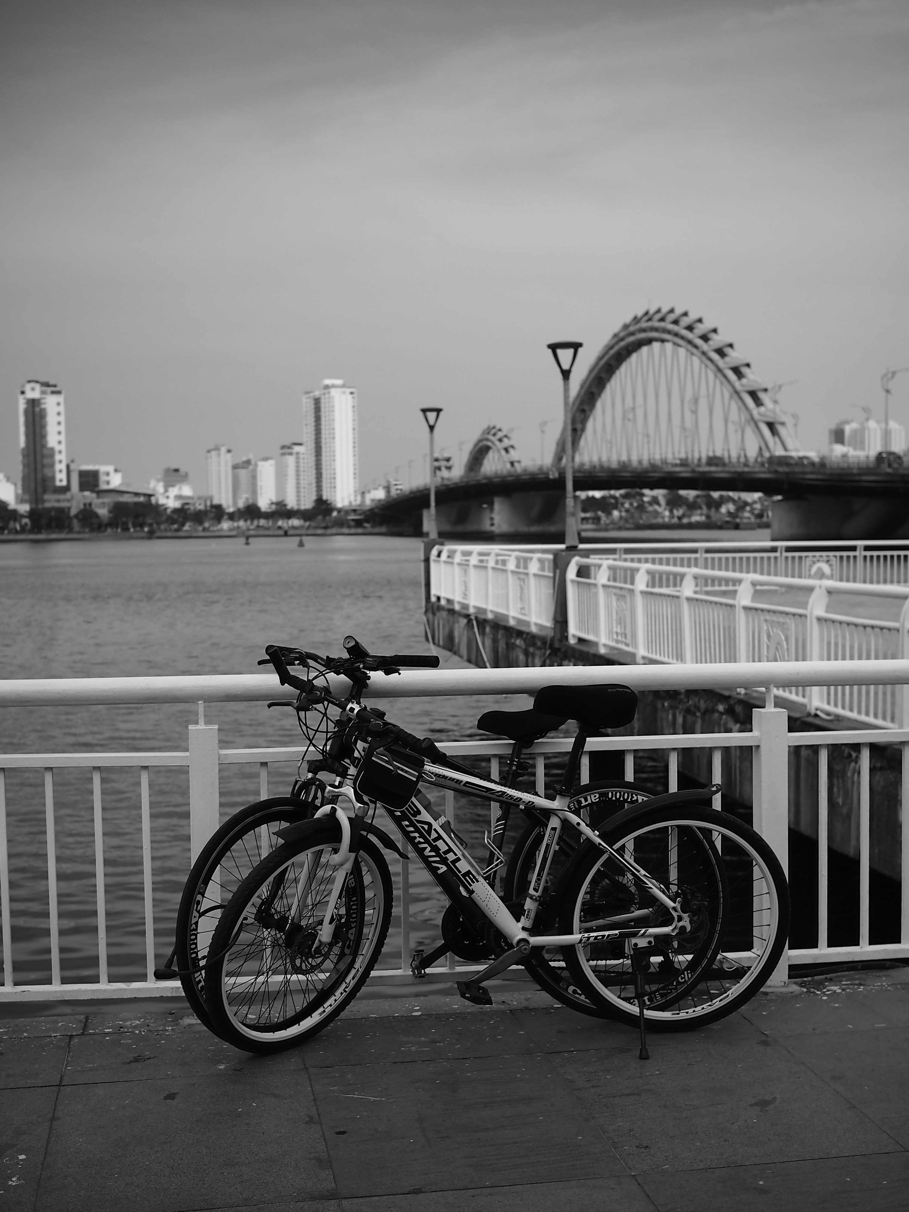 Monochrome photograph of a bicycle resting beside a railing along the riverside. The distant arched bridge and city skyline form a stark, urban backdrop.