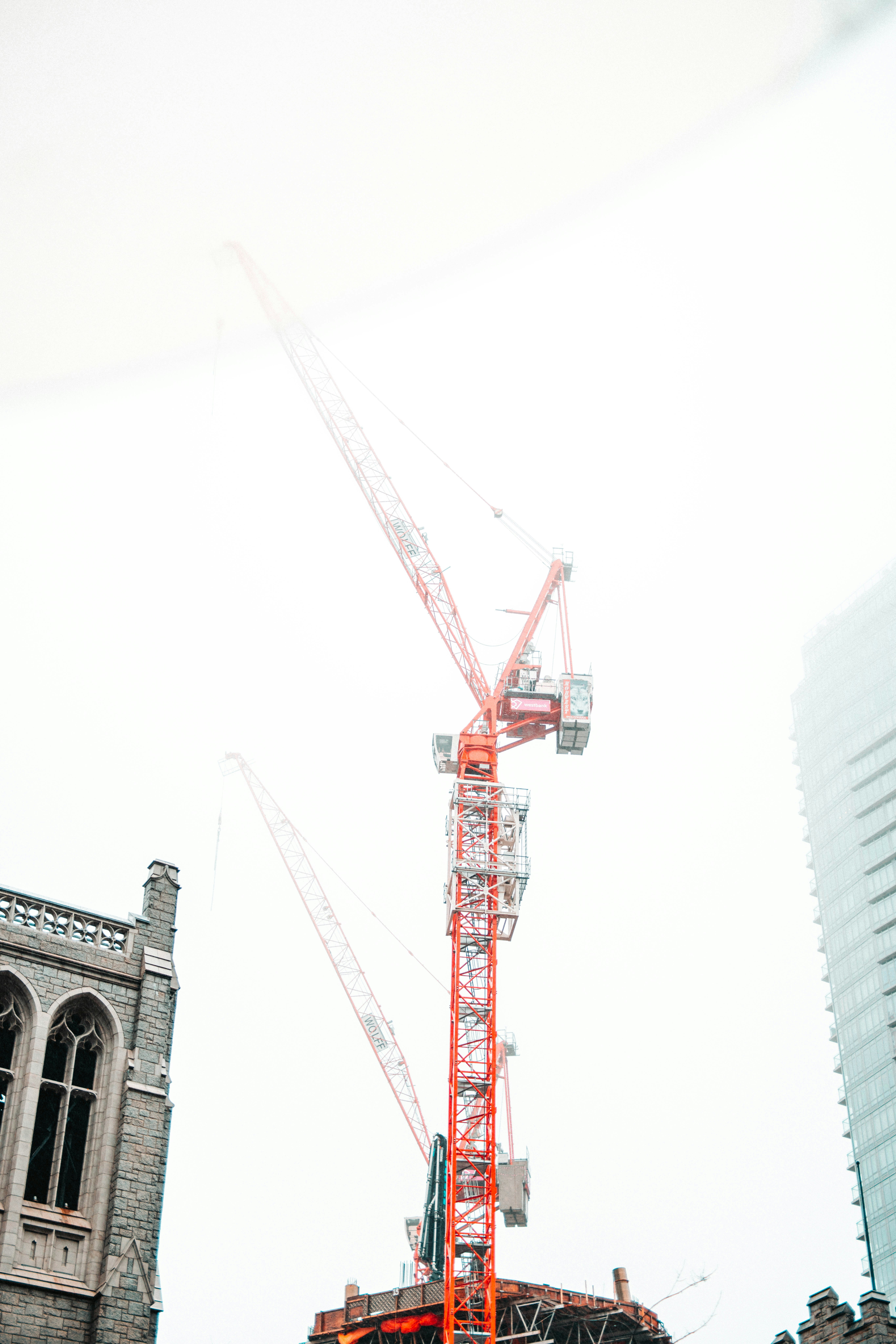 Crimson Crane Dominates a Bleached Skyline
