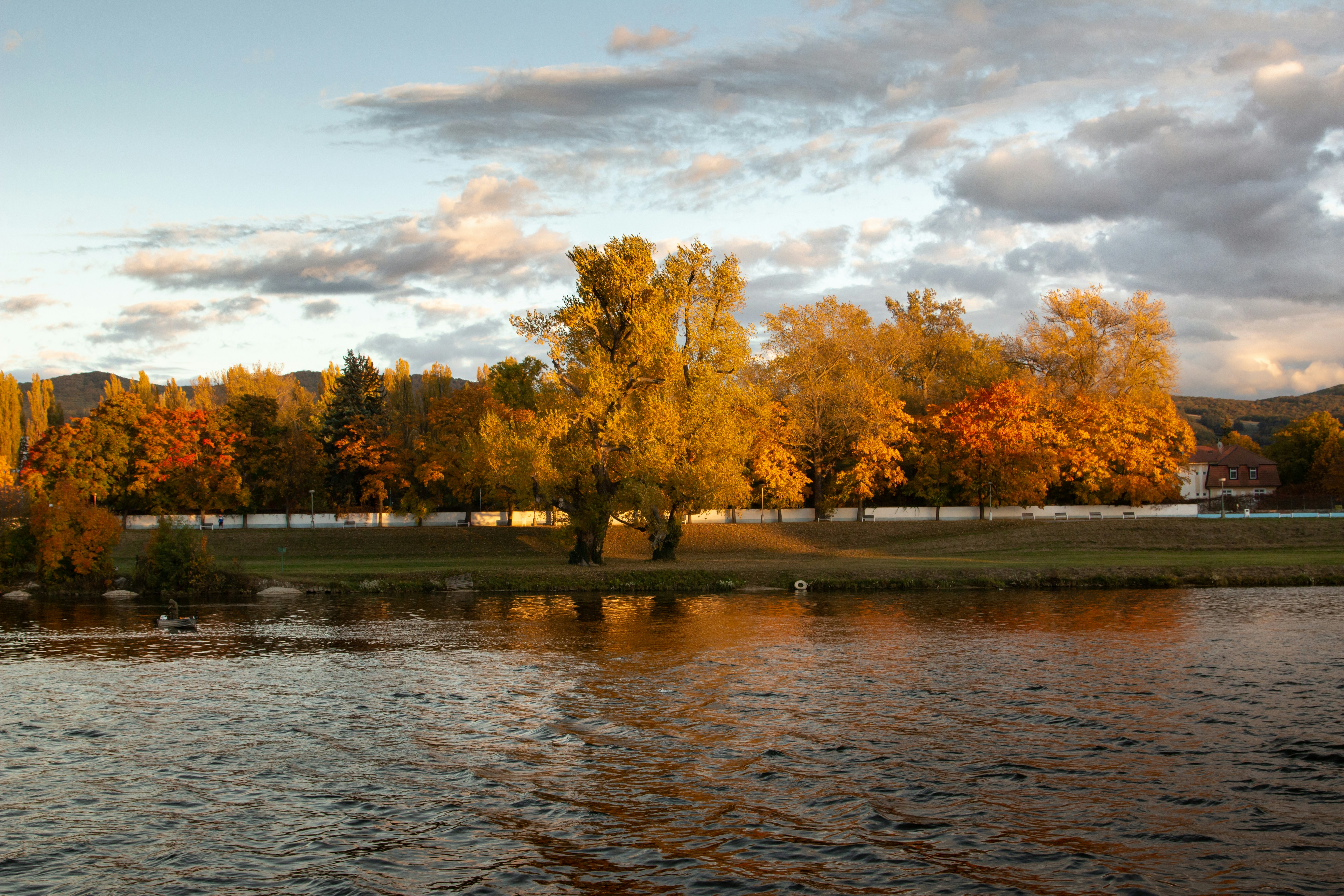 Amber Riverside in Fall Light: Golden Trees Mirror on Calm Water