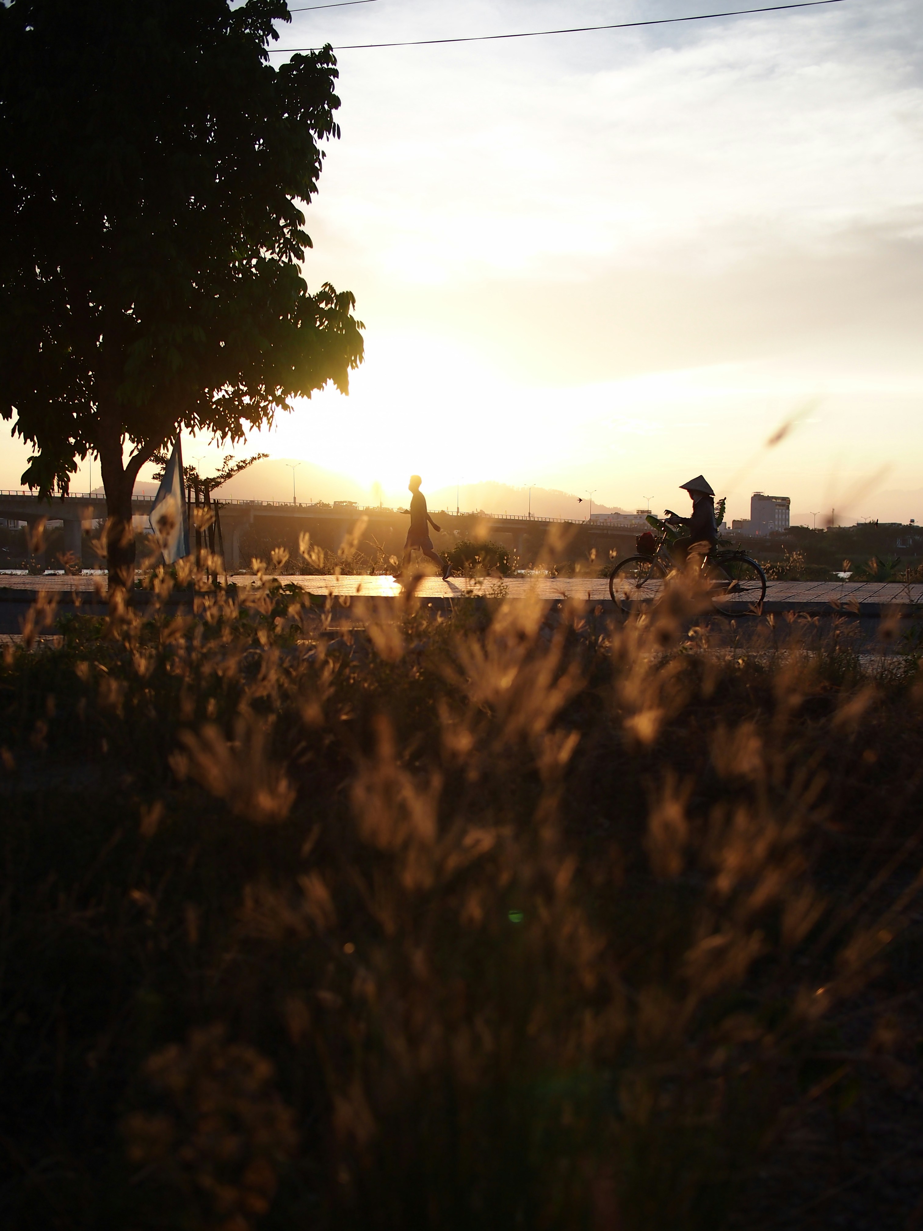 Photo by TRẦN THANH HẢI with Olympus PEN E-P3
