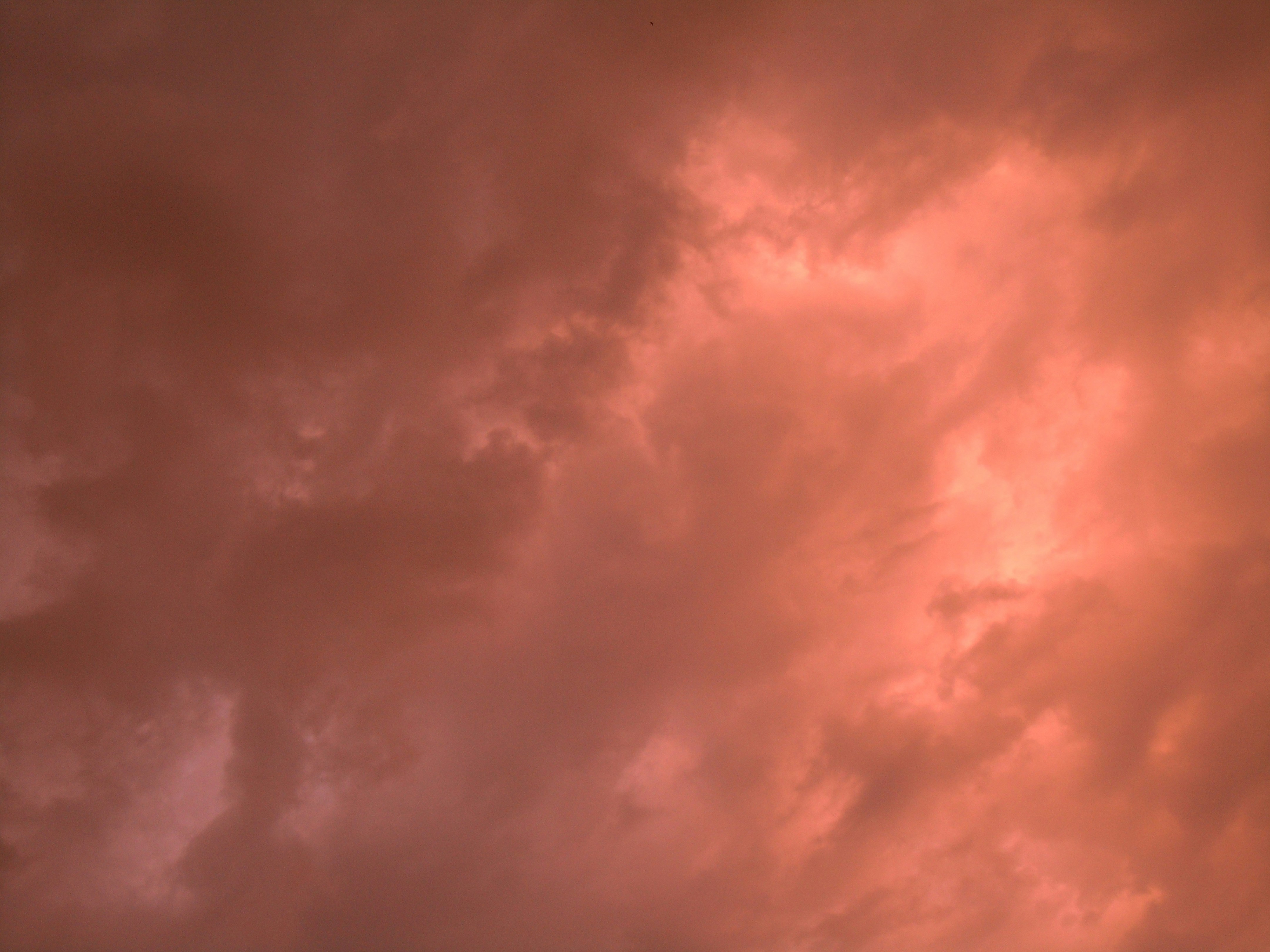 Sample photo from Nikon COOLPIX S8000