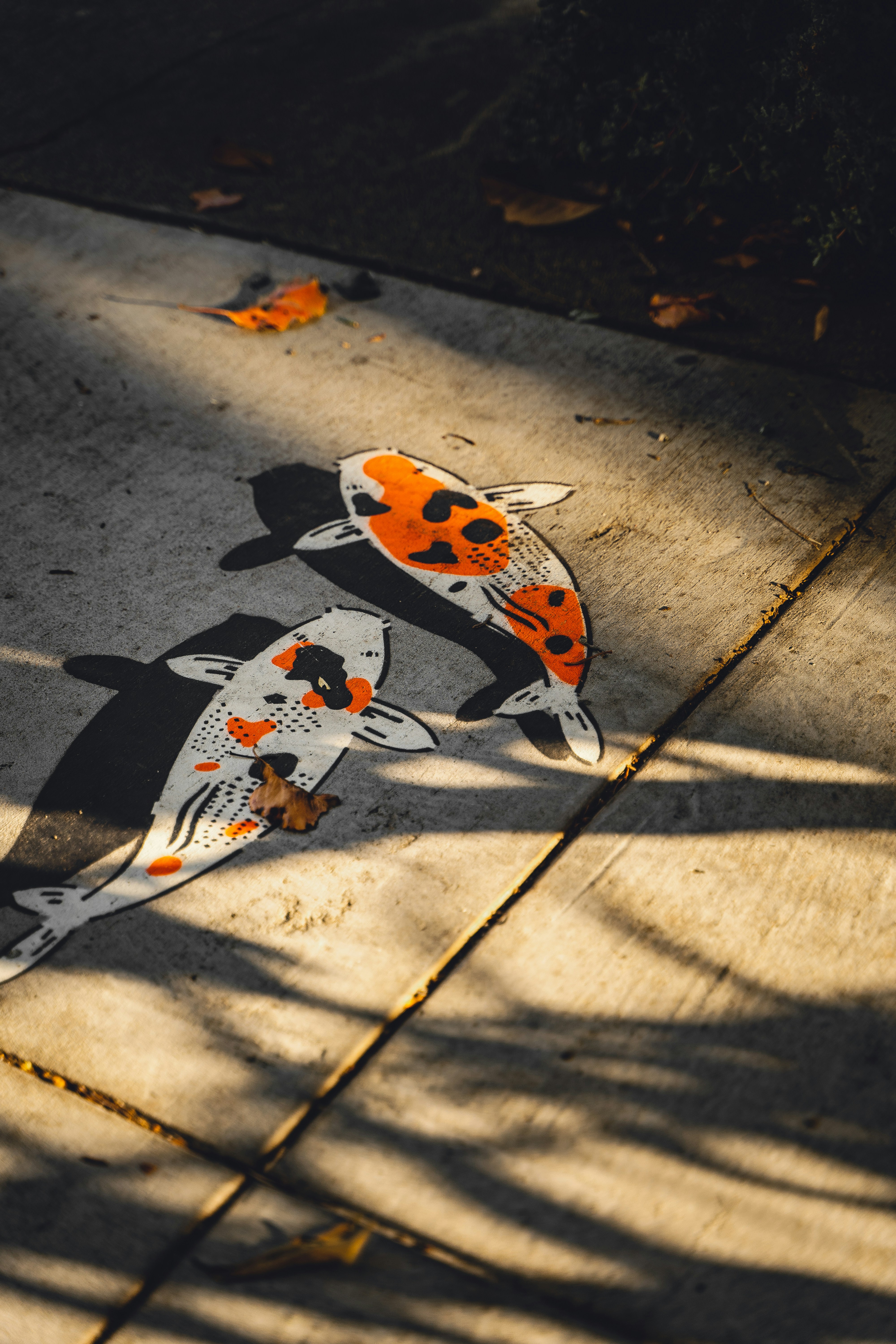 a couple of fish that are on the groundRafael AS Martins