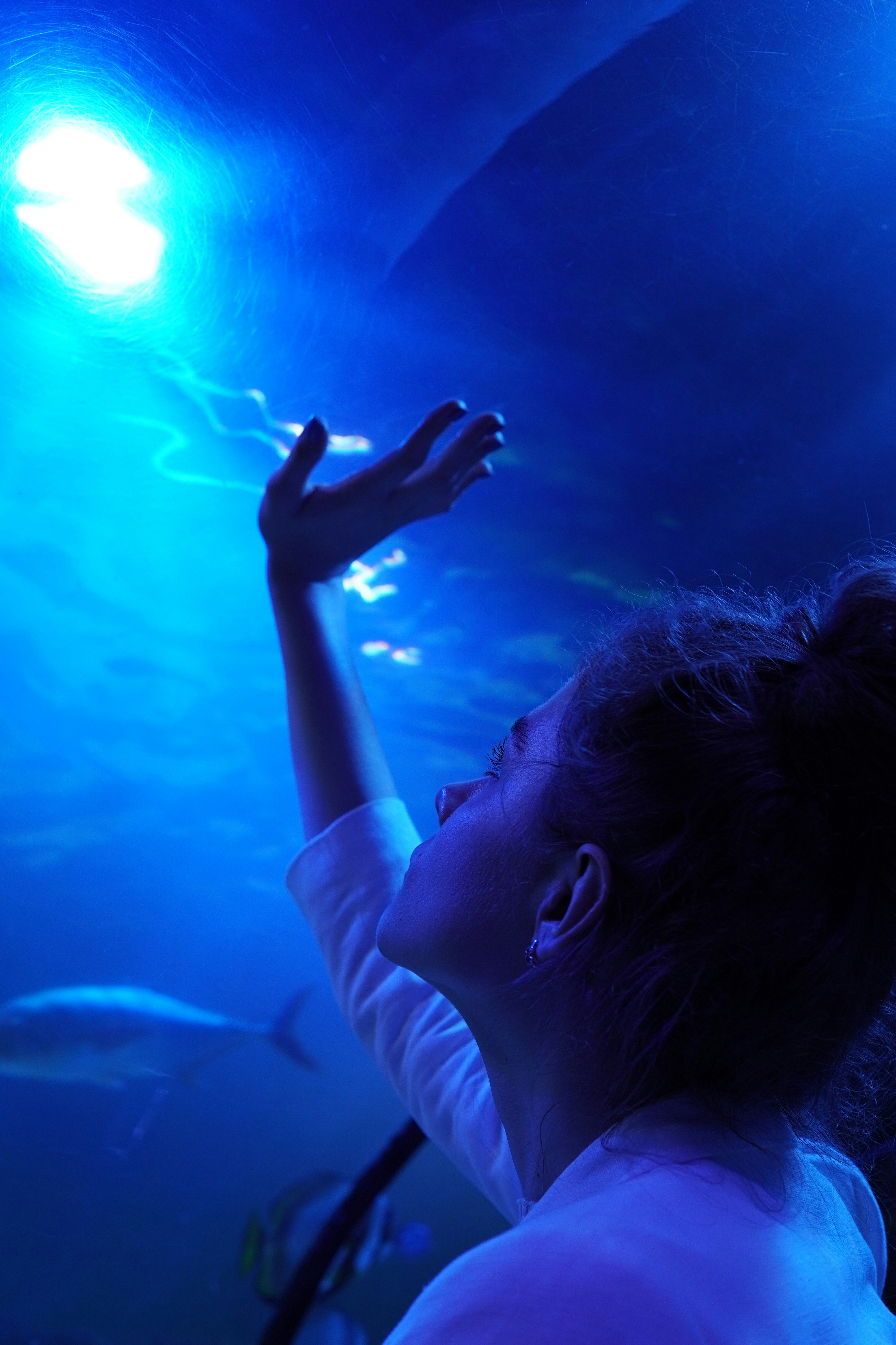 Neon Tide: A Gesture Toward the Aquarium's Blue Glow
