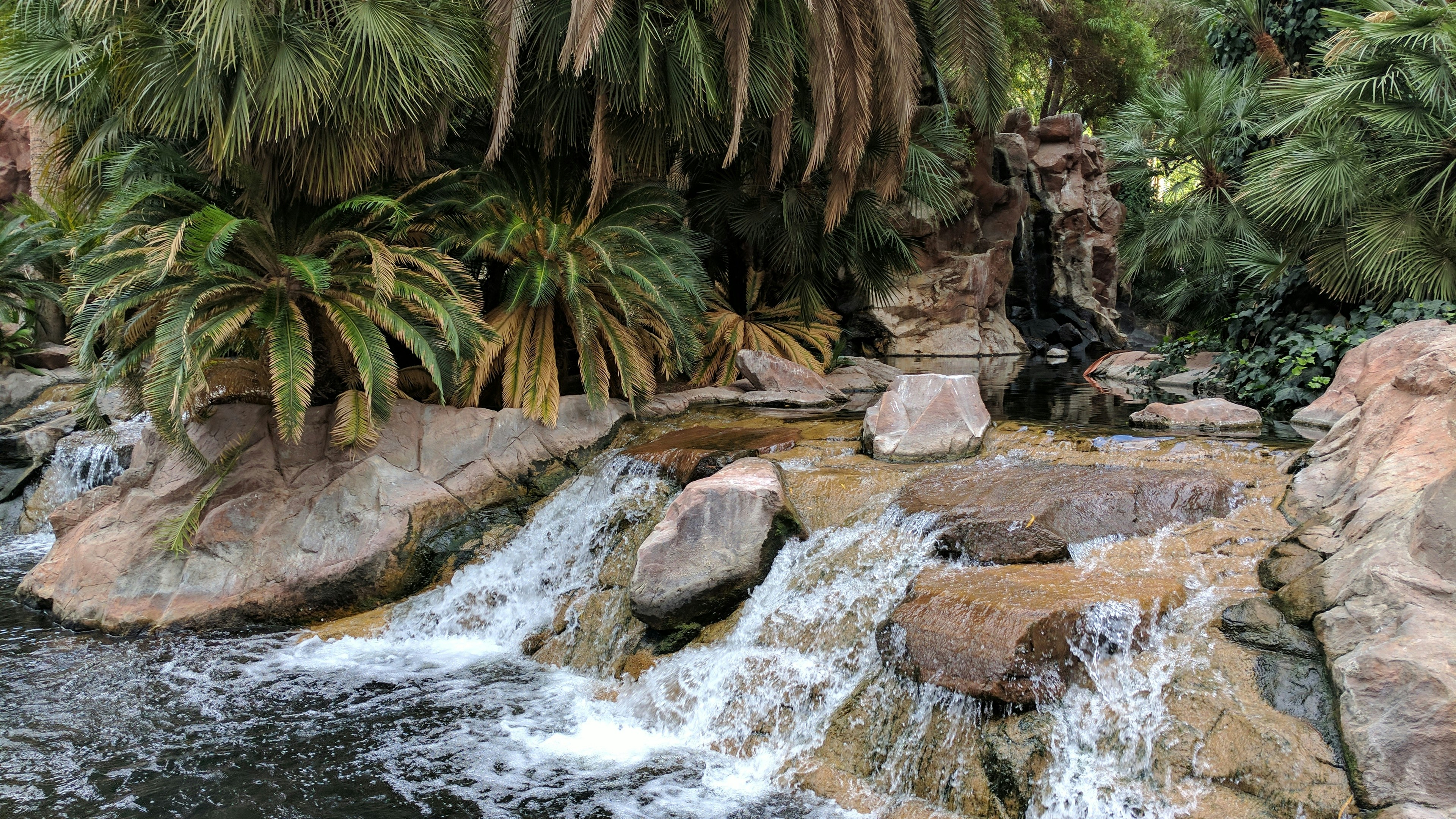 Whispering Cascade Through a Palm-Lined Rock Garden