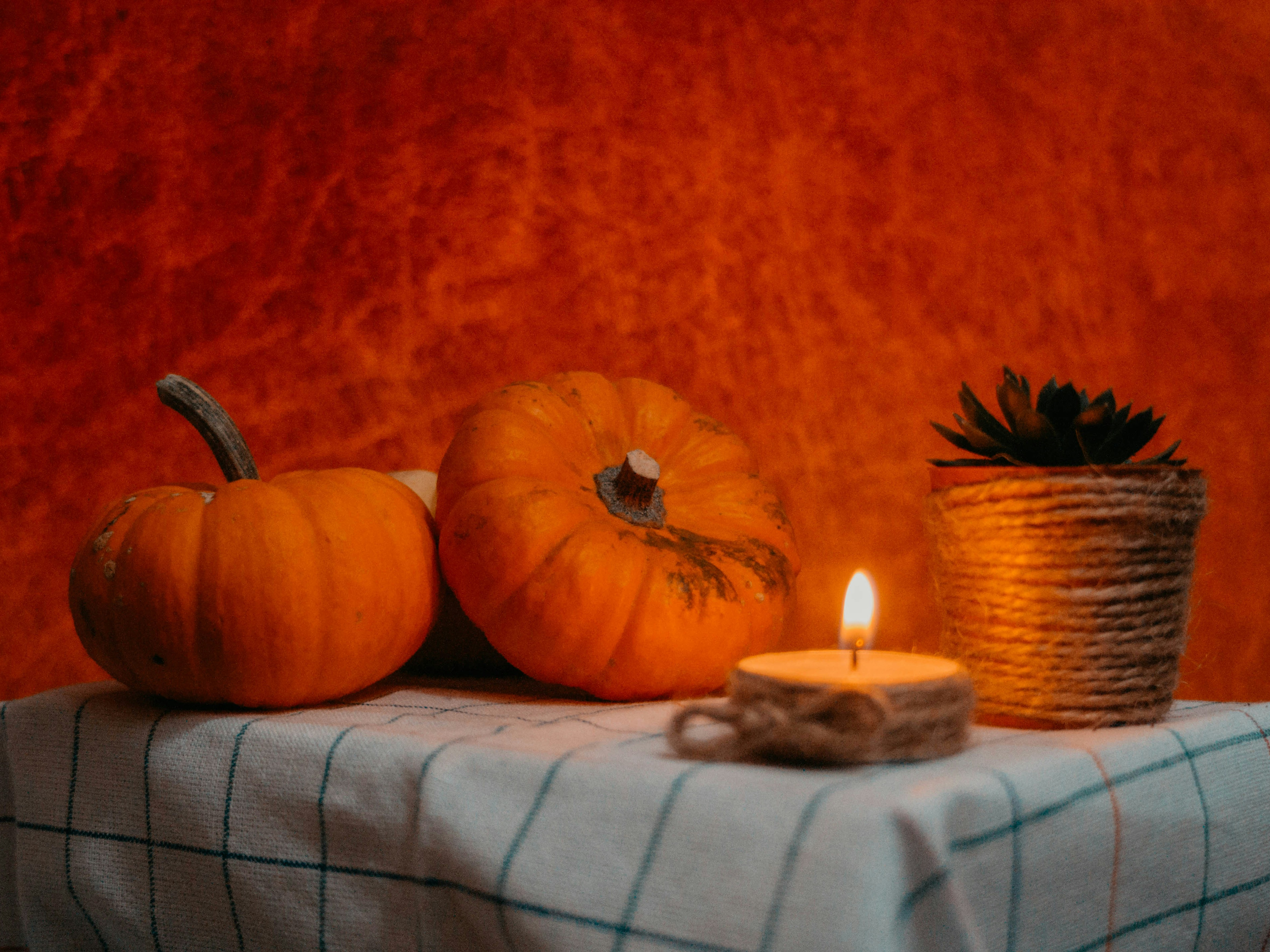Three vibrant pumpkins and a lit candle create a warm autumn atmosphere, complemented by a rustic potted plant. The scene is set against a textured orange backdrop.