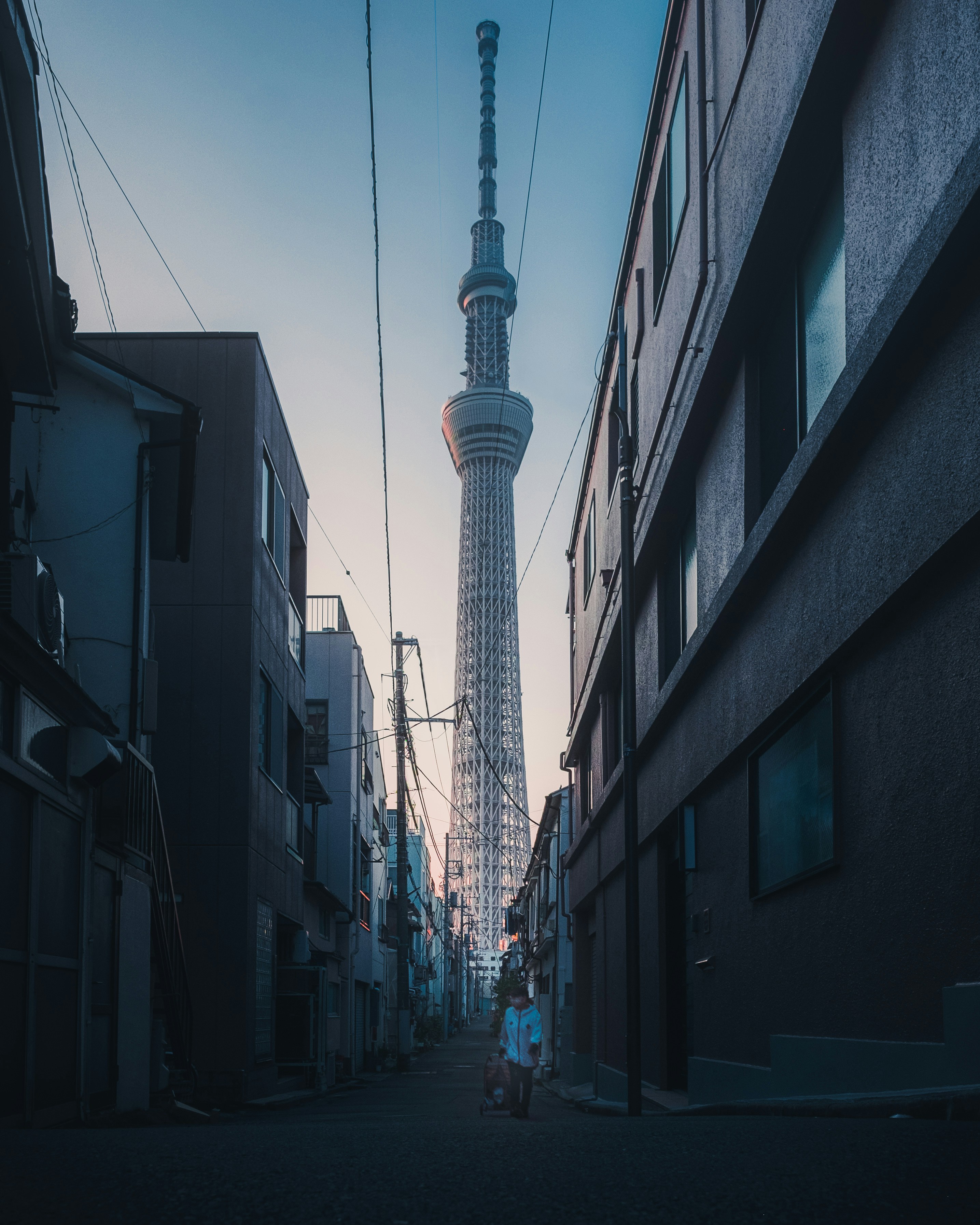 Tokyo Skytree looms over a narrow alley, framed by urban architecture, as a couple strolls with a dog.