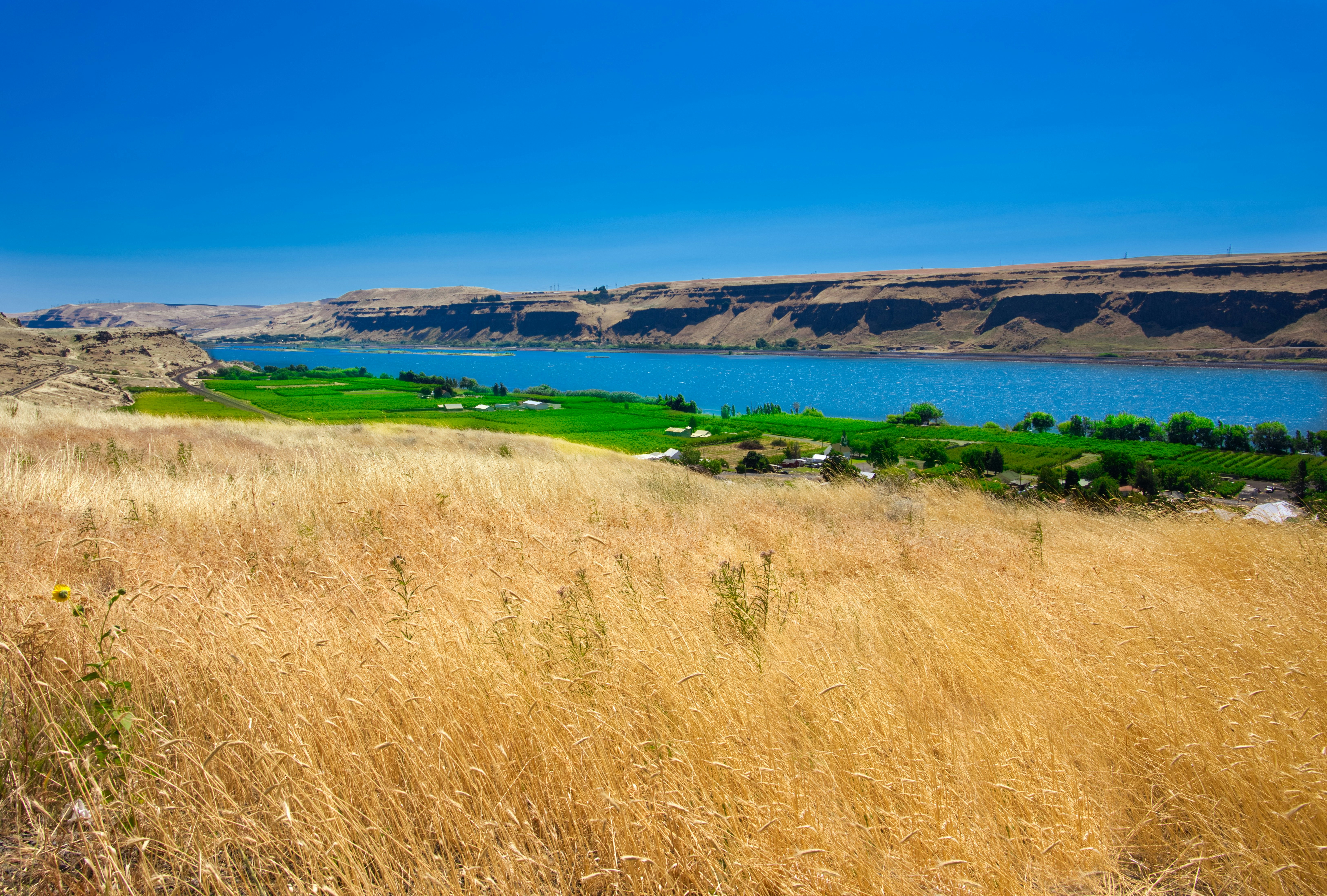 Columbia river