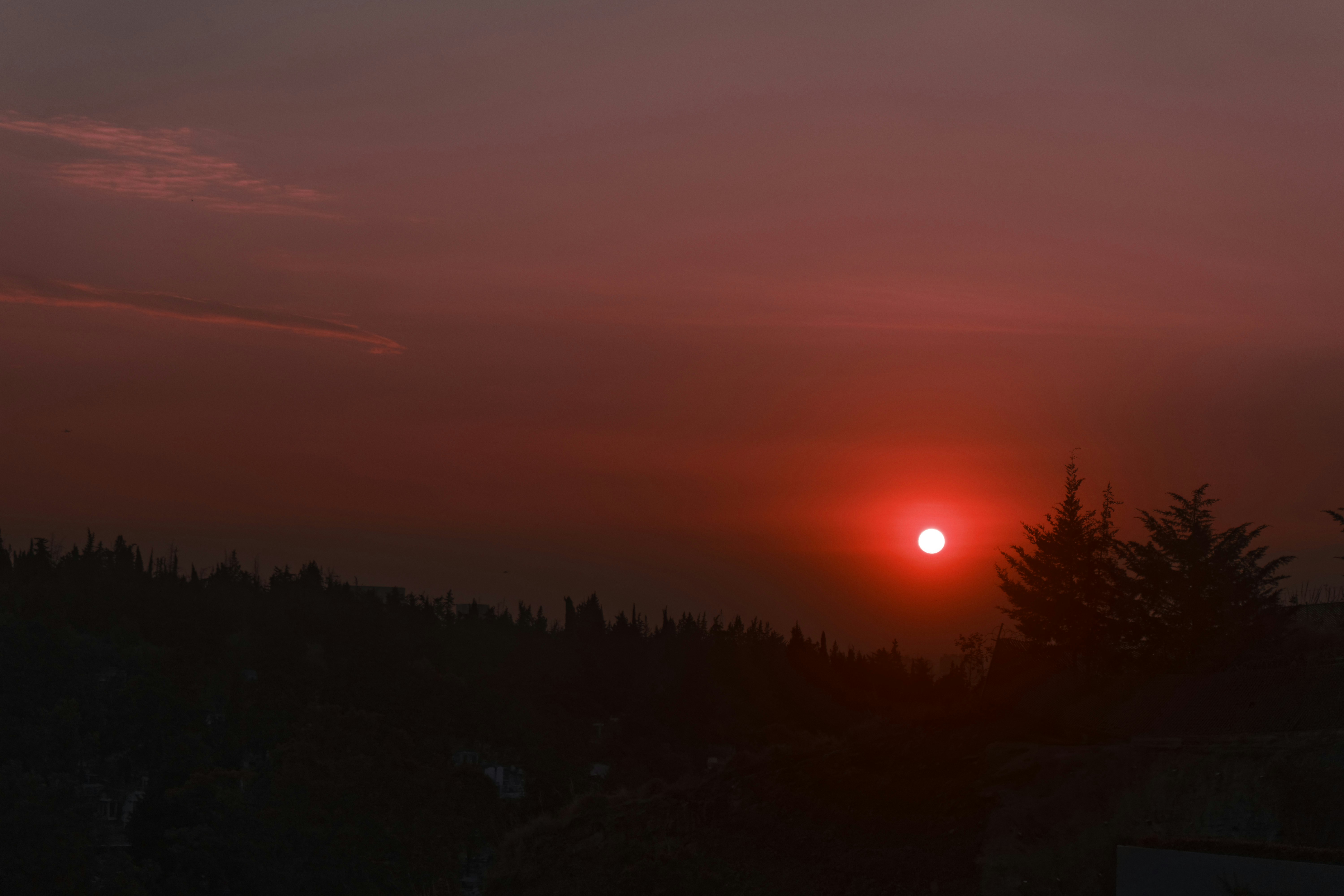 Vibrant sunset casting deep red hues over a silhouetted landscape, with trees framing the scene. The sun, a glowing orb, sinks below the horizon.