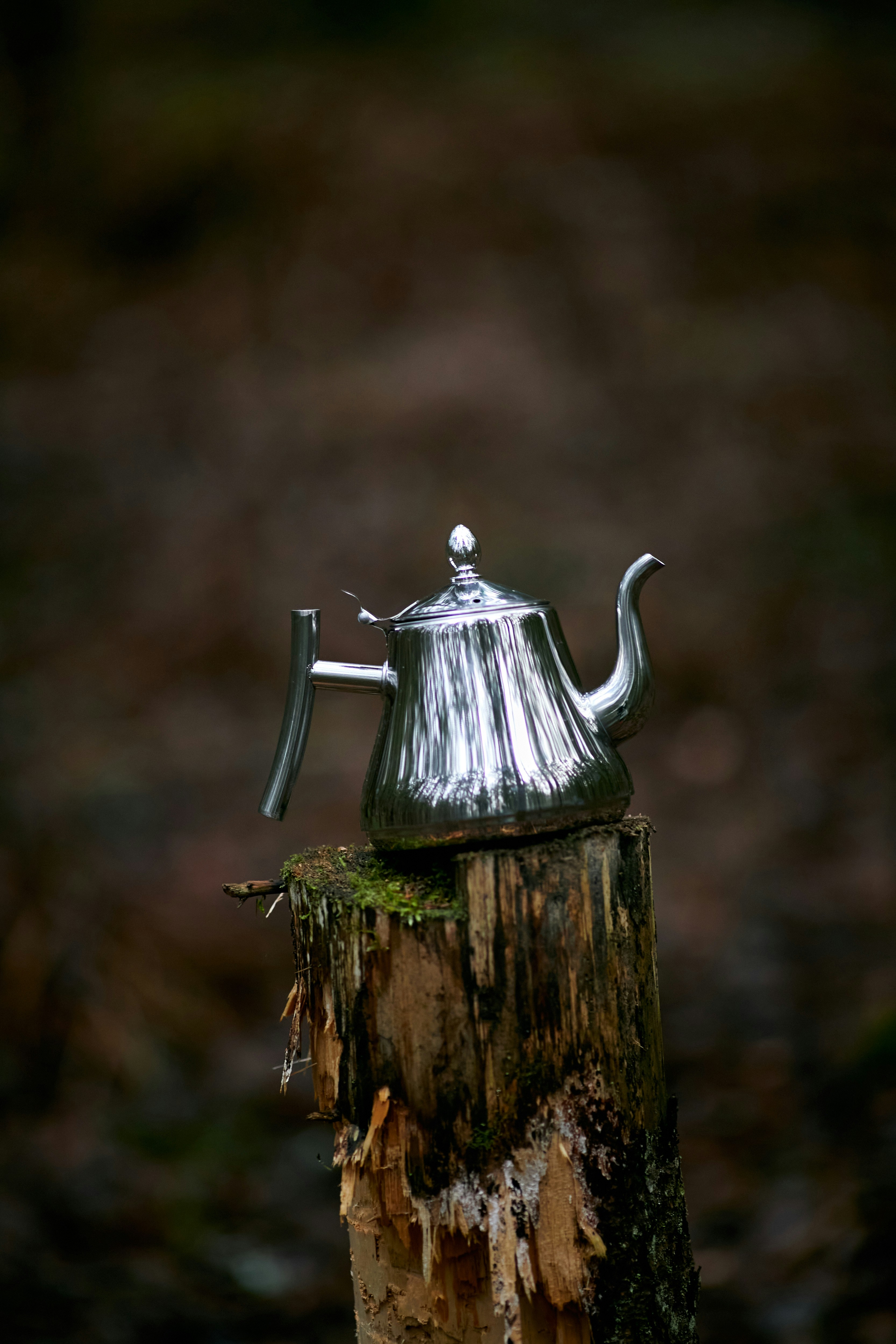 Shiny metal teapot perched on a moss-covered stump in a forest setting. The blurred background enhances the focus on the teapot's elegant design.
