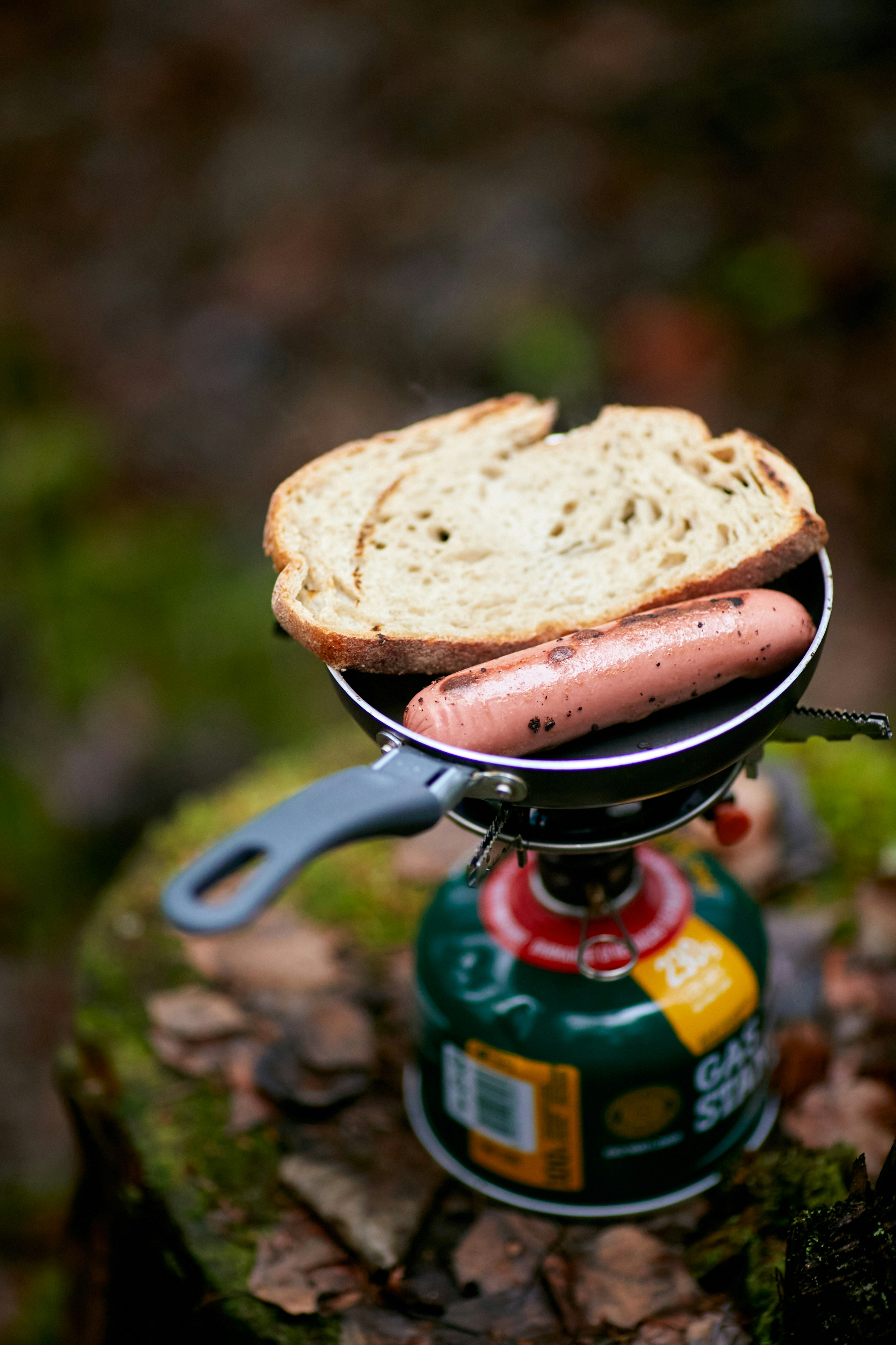 picnic
forest
gas
