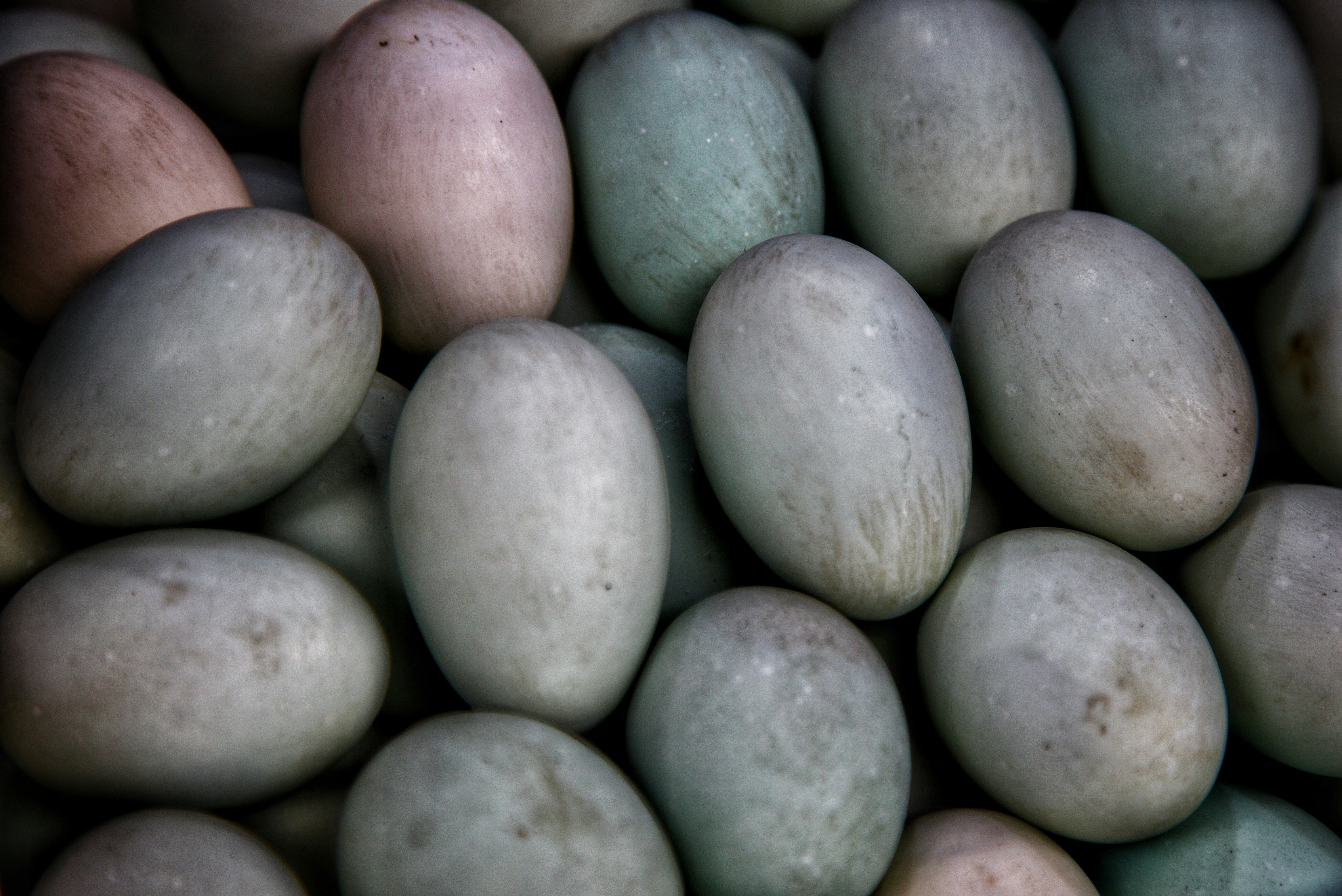 A close-up view of various eggs showcasing a range of muted colors and textures, emphasizing the beauty of natural forms.
