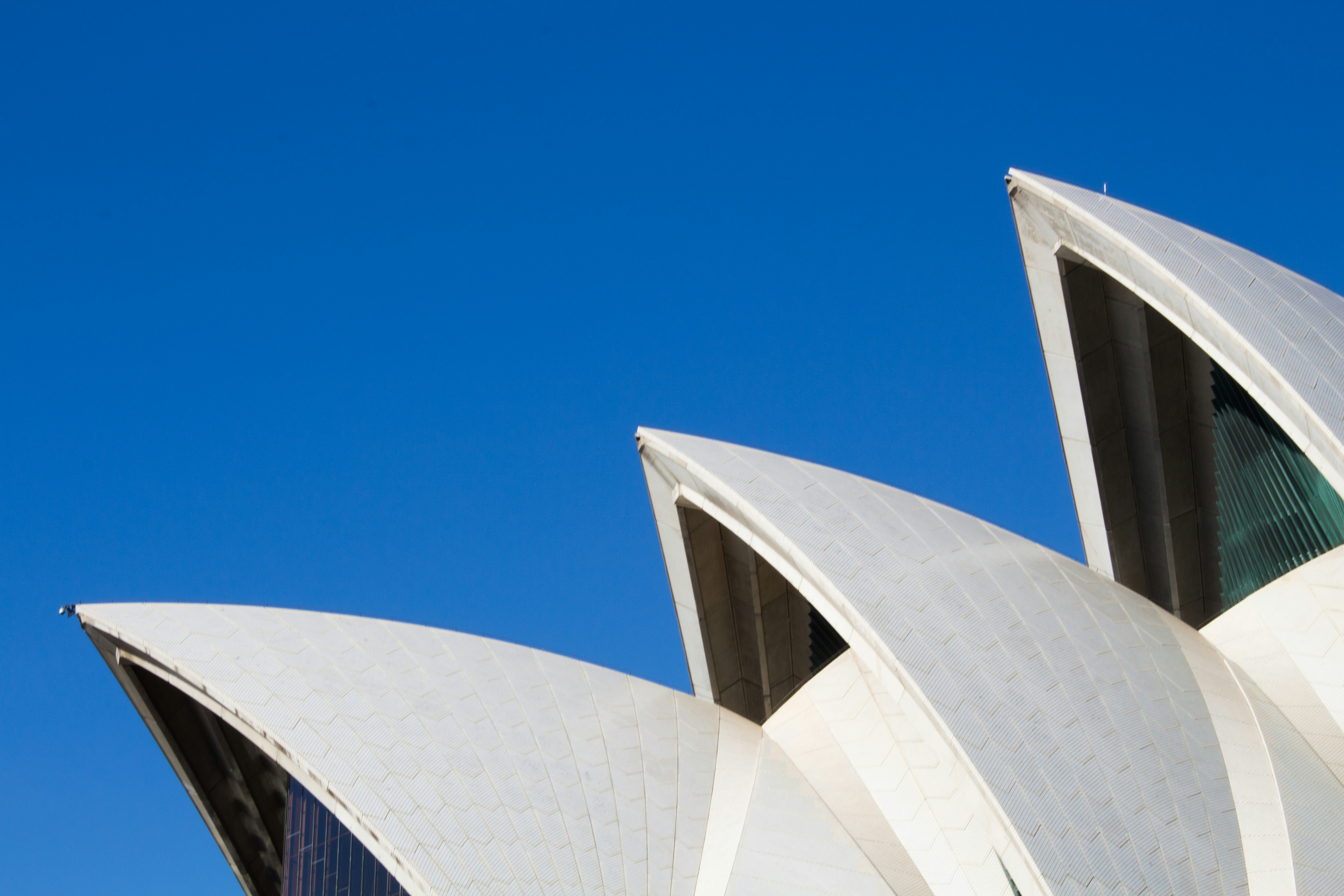 A close up of the top of a building photo – Free Sydney opera house ...