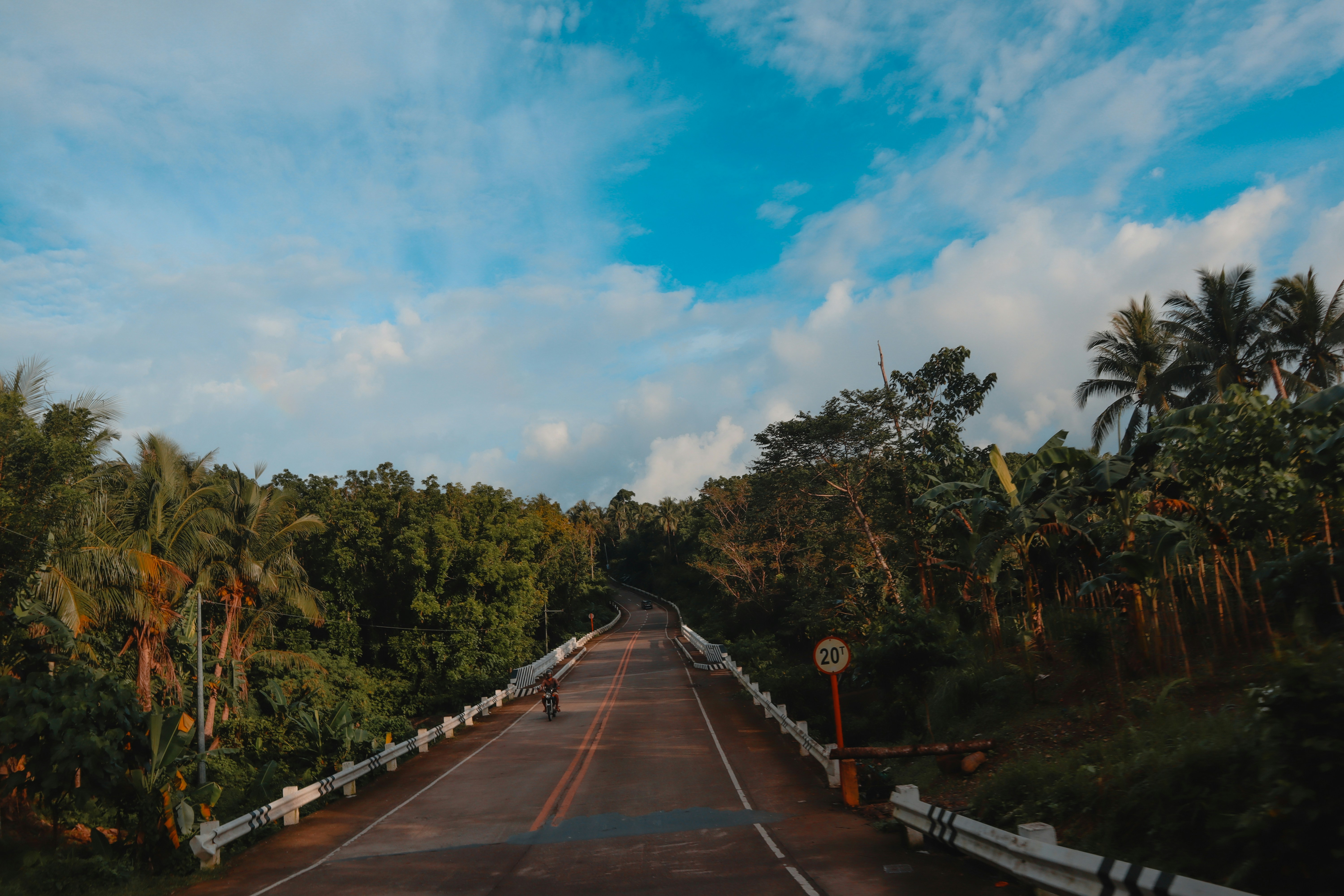Palm-Fringed Ascent: A Quiet Road Toward the Tropic Horizon