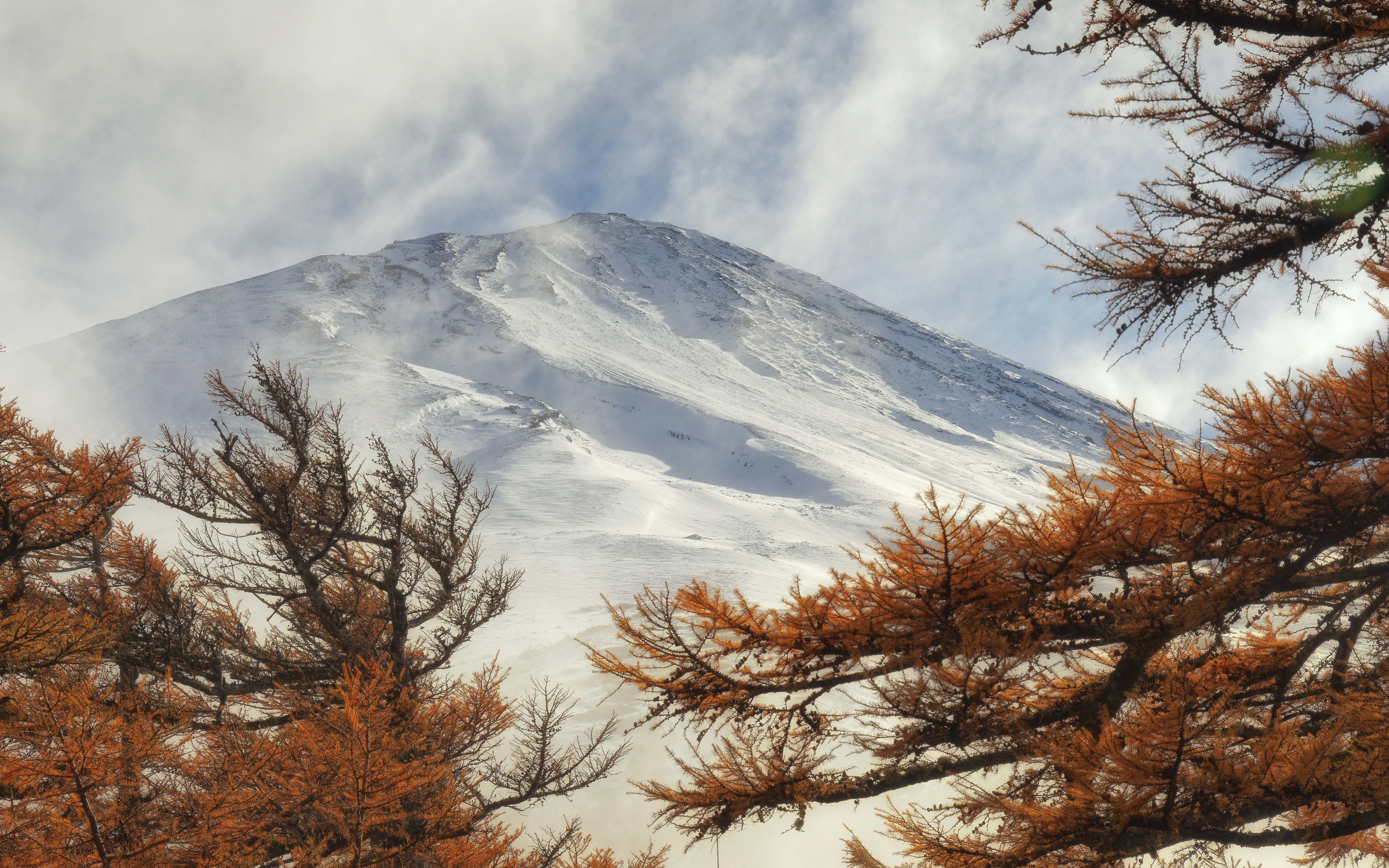 Whispers of Winter: Peaks and Pines