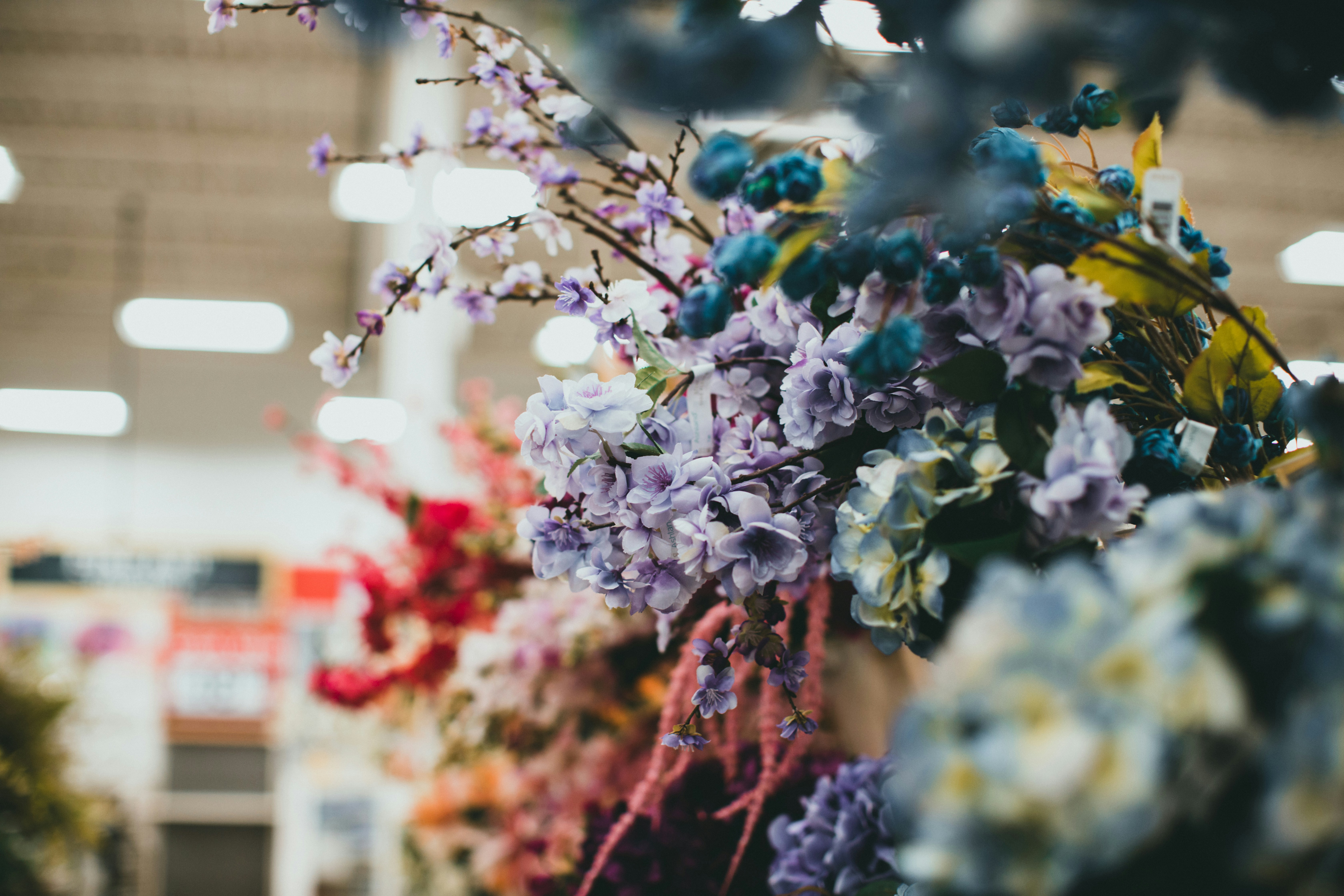 Lavender Cascade in a Soft-Focus Aisle