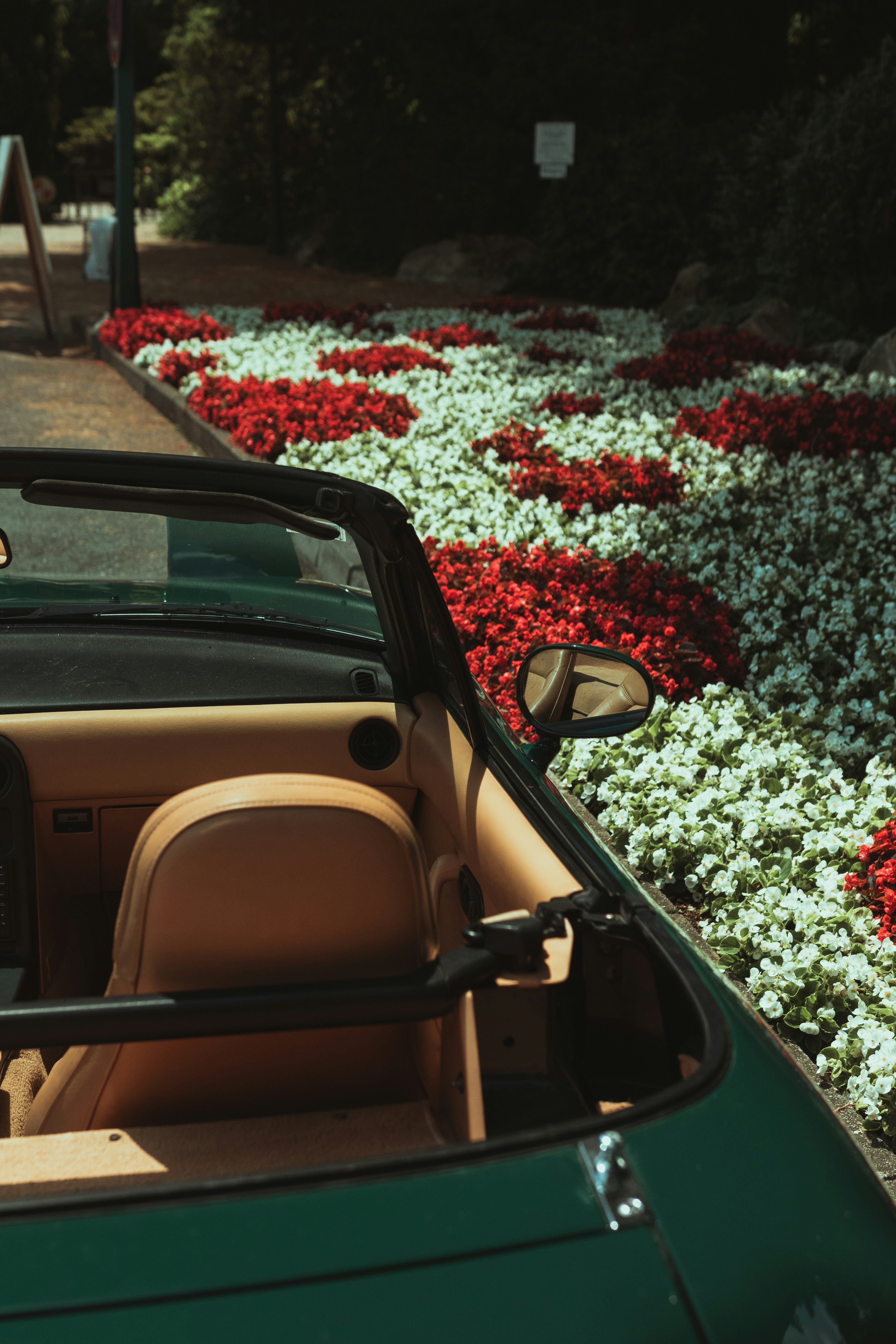 Photo by Ivan Mihajlovic with Canon EOS 80D