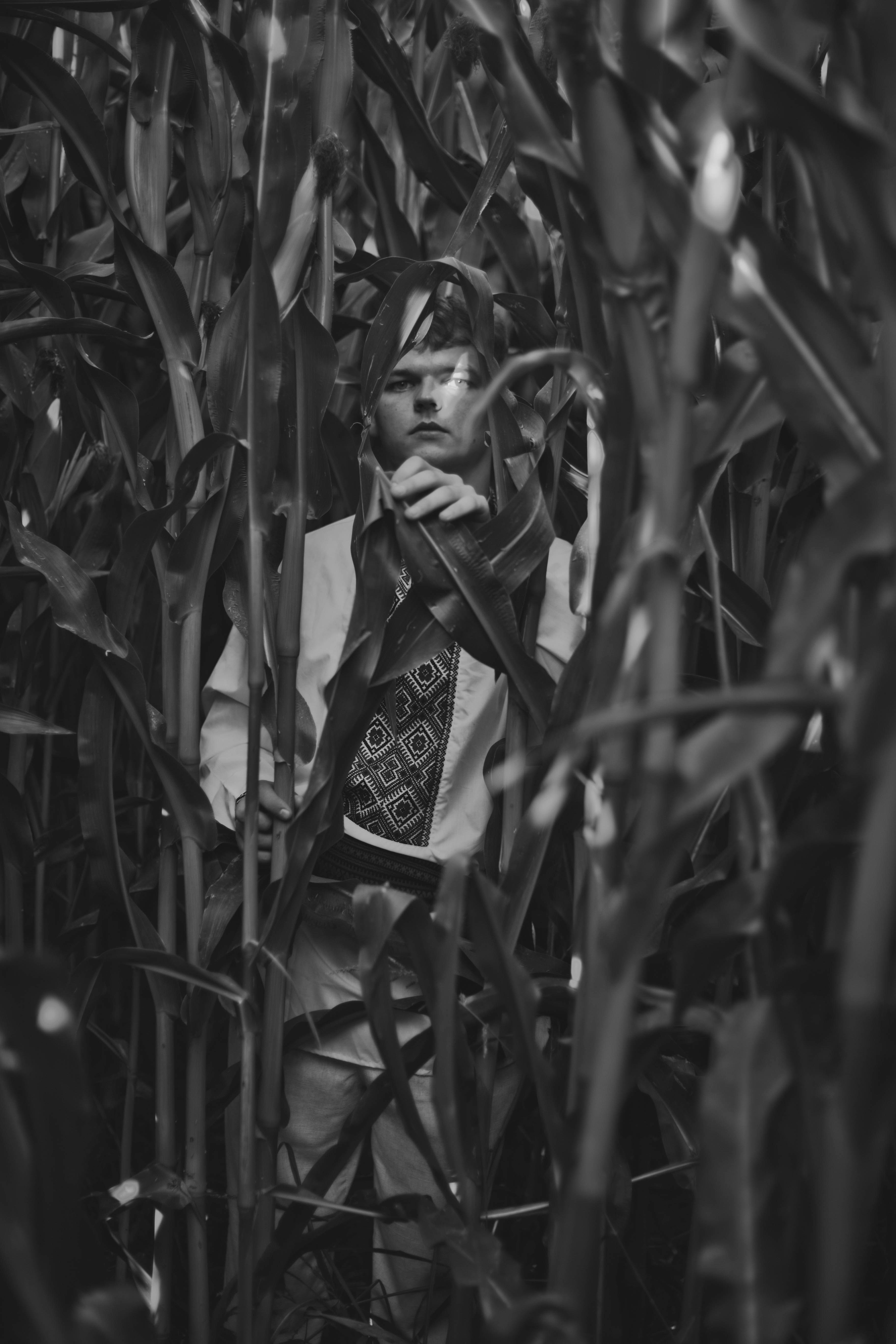 Lammas | 9 best free lamma, plant, grey and animal photos on Unsplash