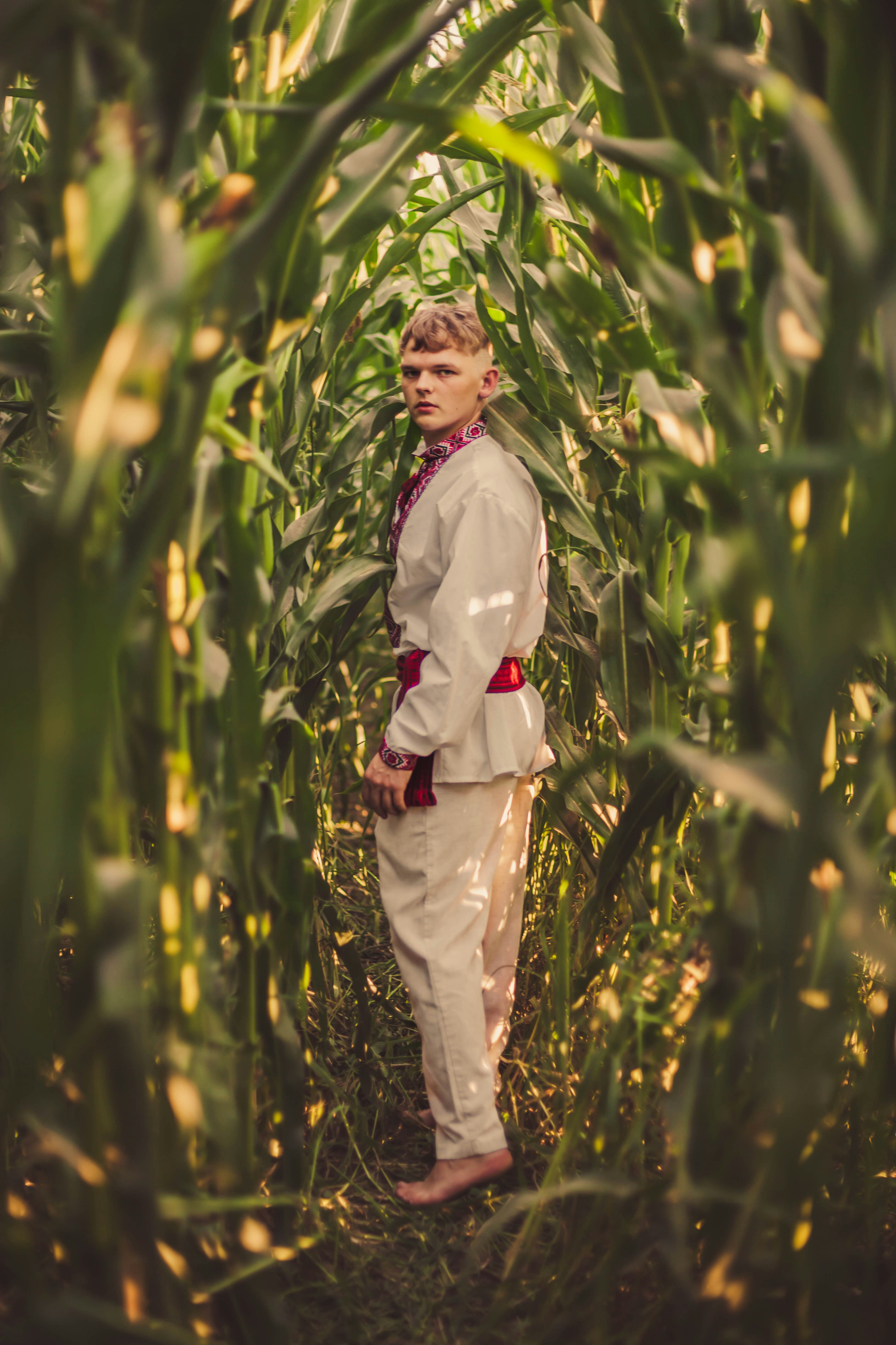 A man in a suit standing in a corn field photo – Free Corn Image on ...