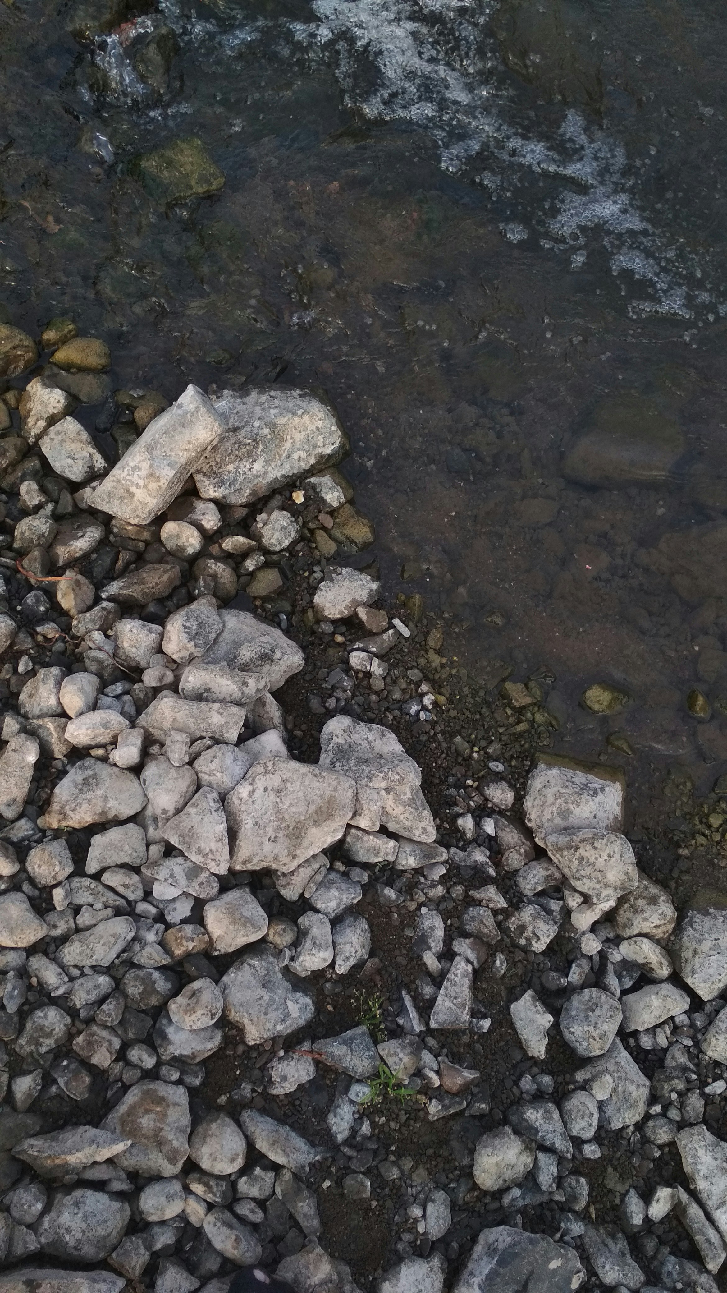 Photo by Vatsal Patel with Xiaomi Redmi 4