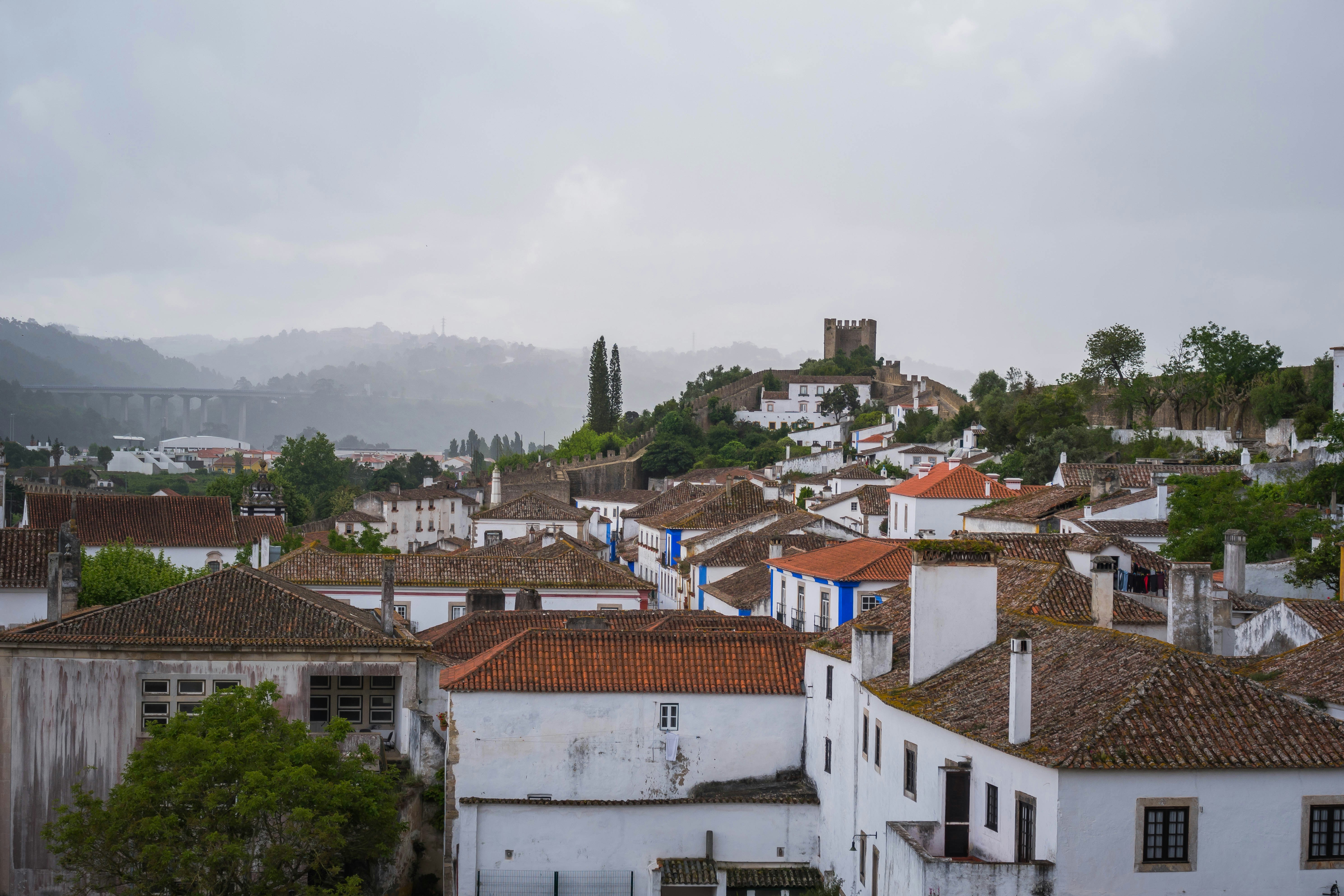 Castle Gaze Over a Sea of Red-Tiled Rooftops