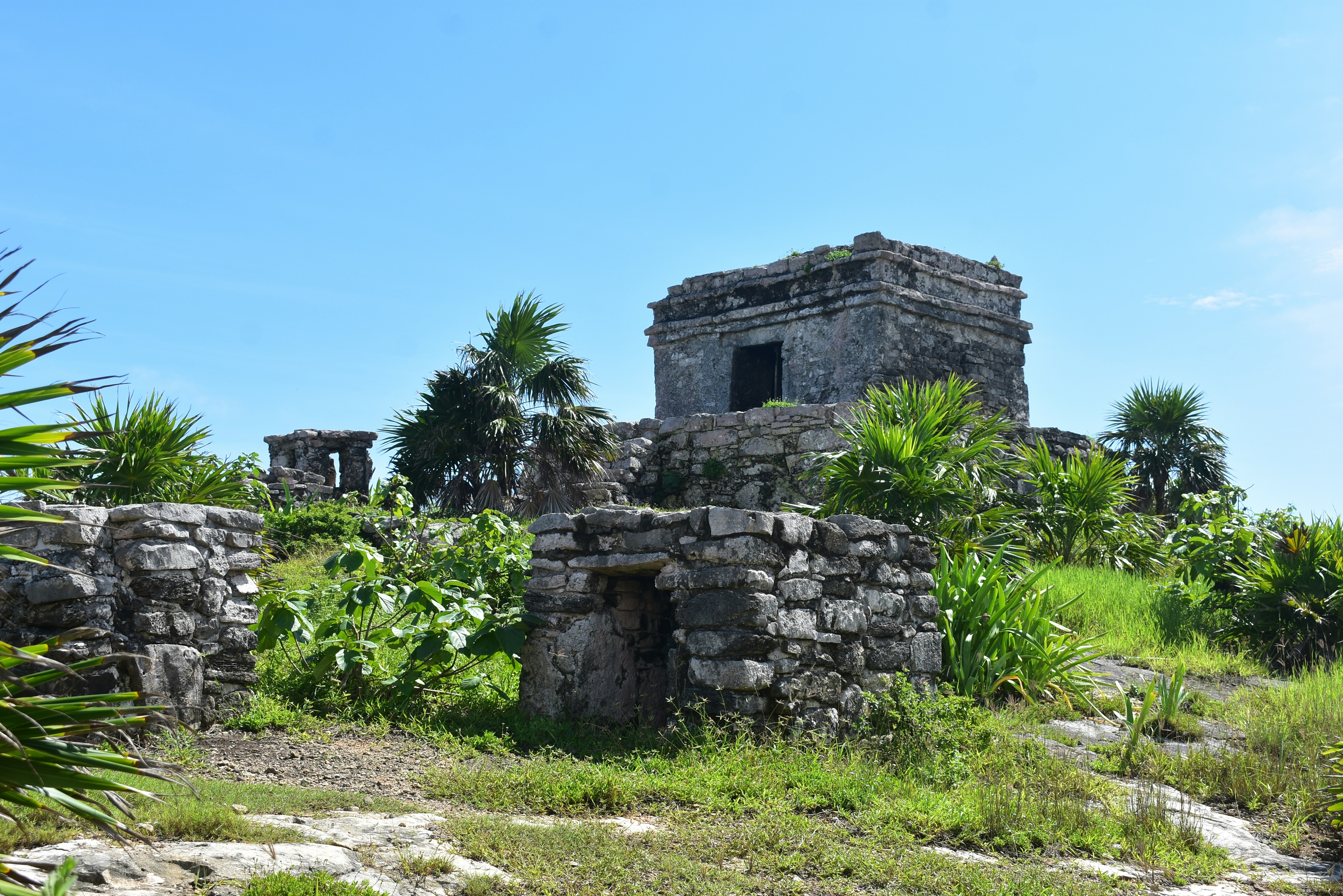 Mayan ruins surrounded by lush greenery under a clear blue sky, showcasing the remnants of a historical site.