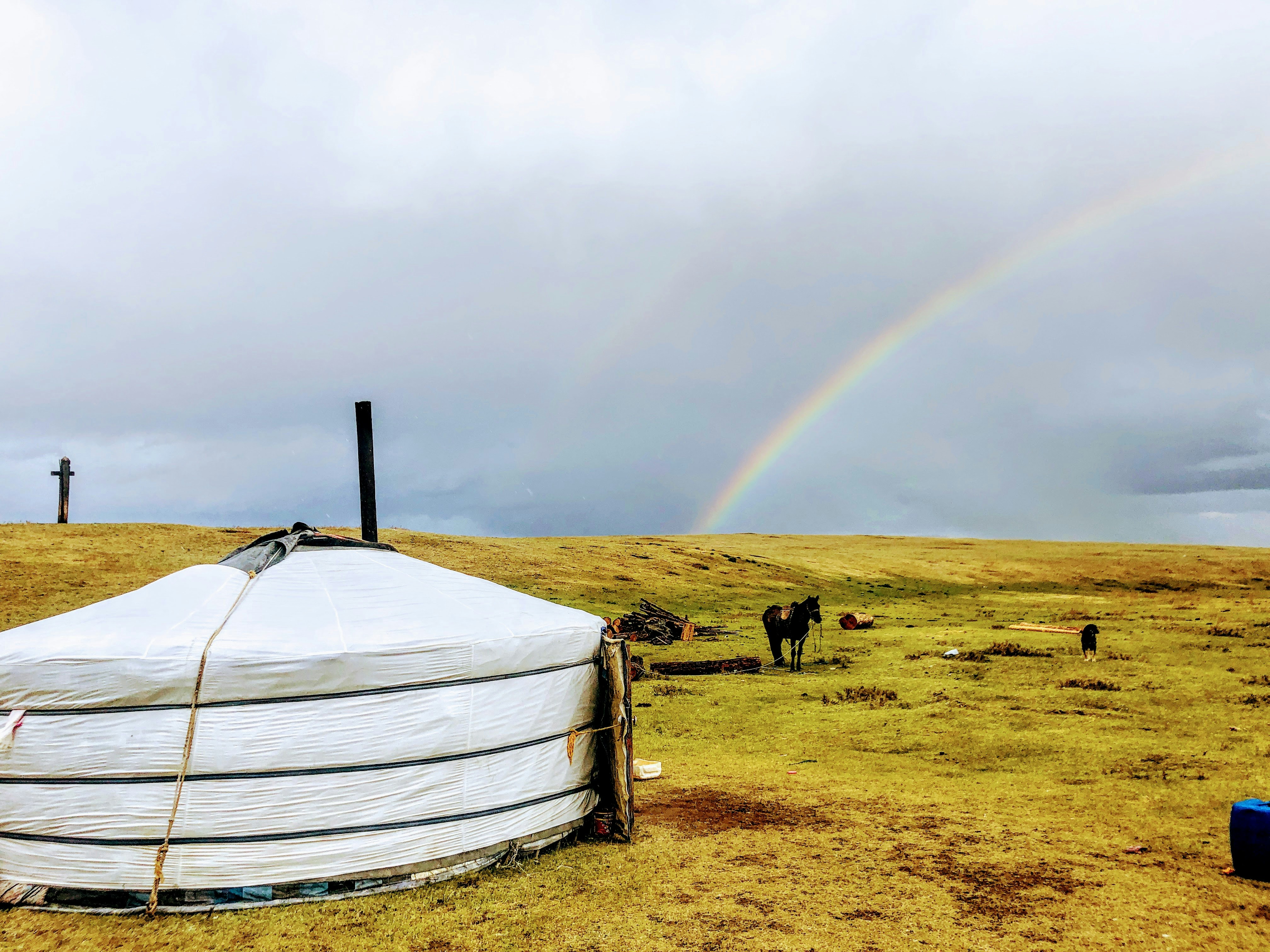 Traditional yurt on a grassy plain beneath a vivid rainbow.