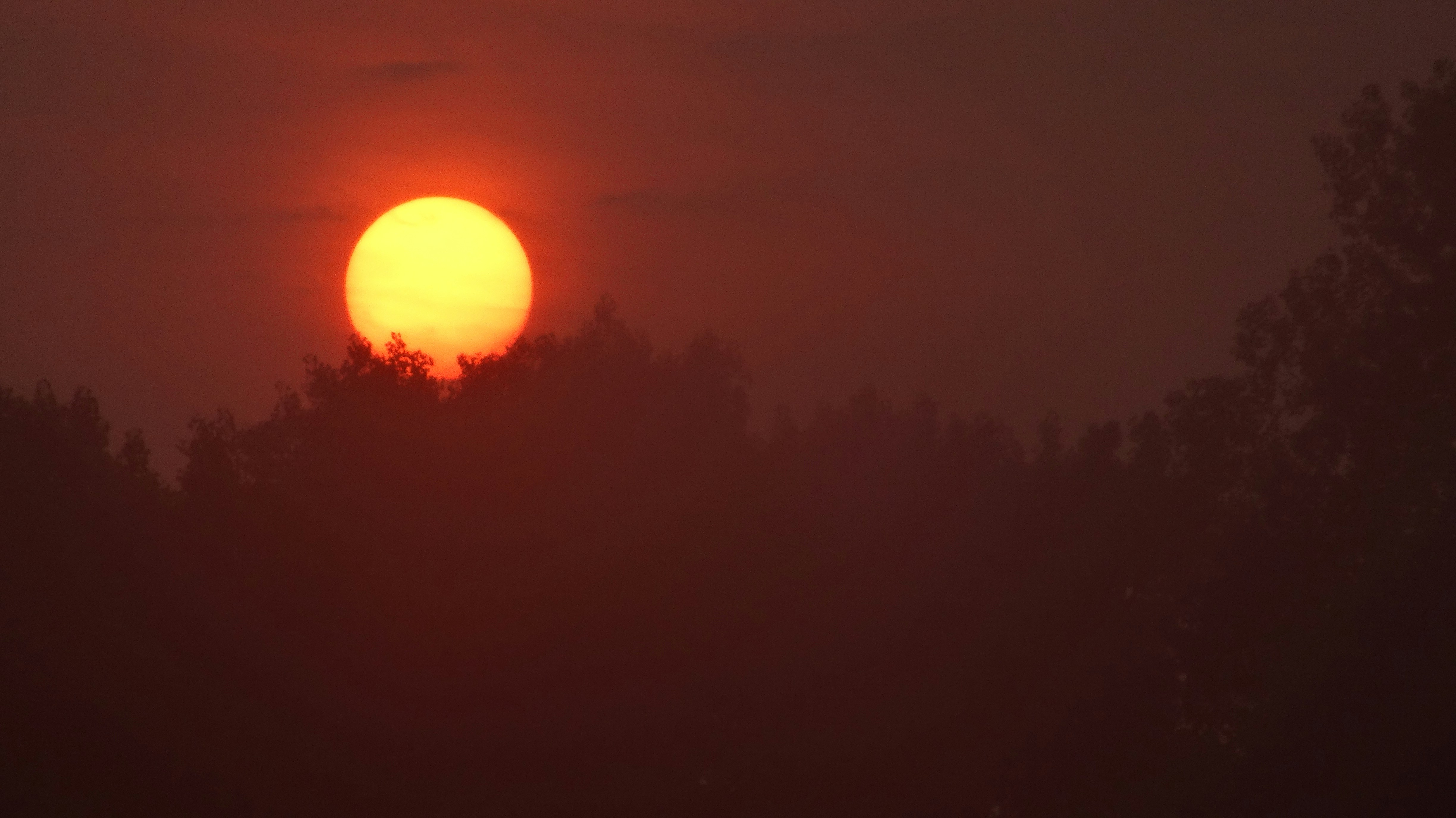 A fiery sunset bleeds into the horizon behind dense tree silhouettes, casting a warm glow across the landscape. This photograph emphasizes natural silhouettes and a tranquil, dusky mood.