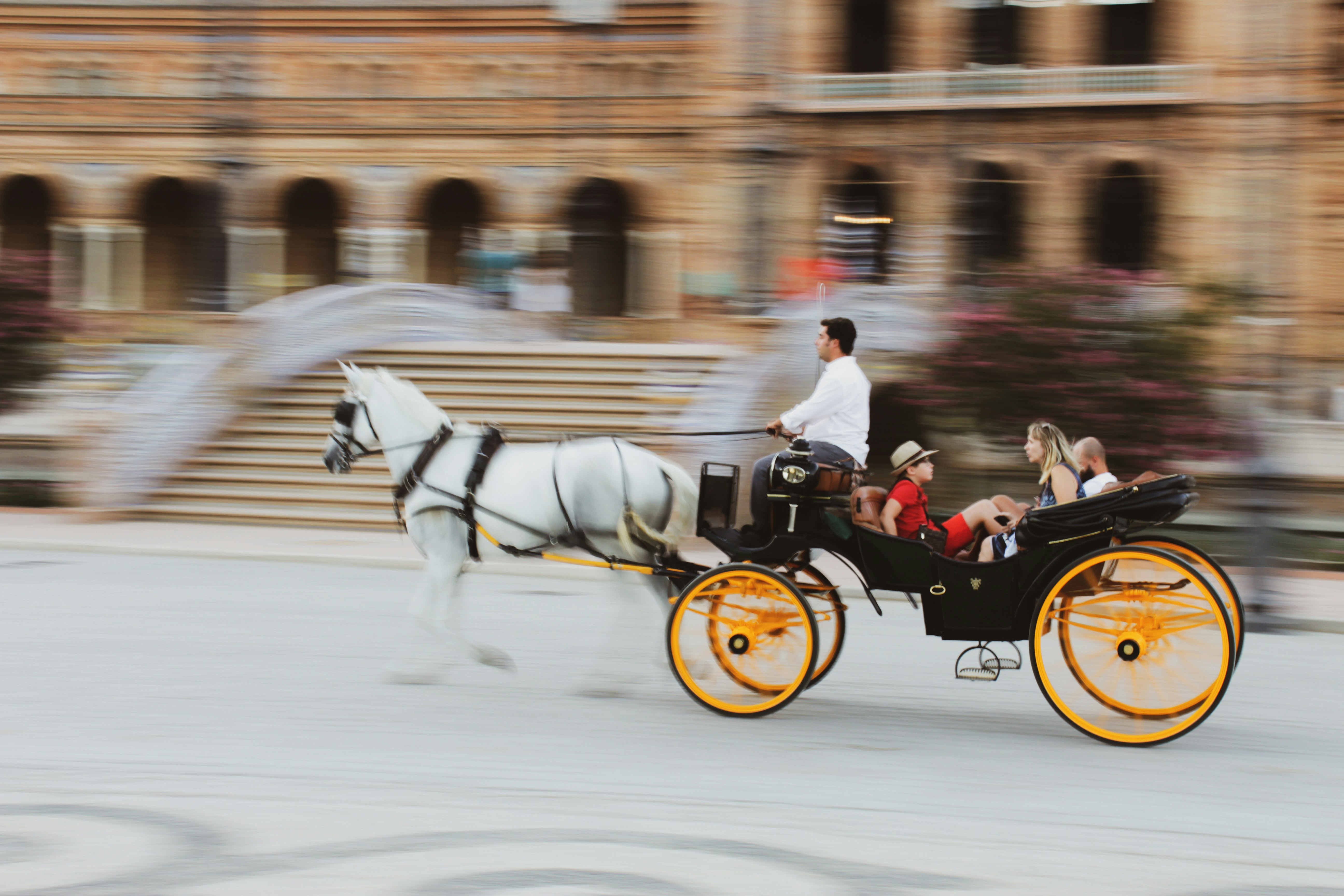 White horse pulling a carriage with passengers through a historic plaza.