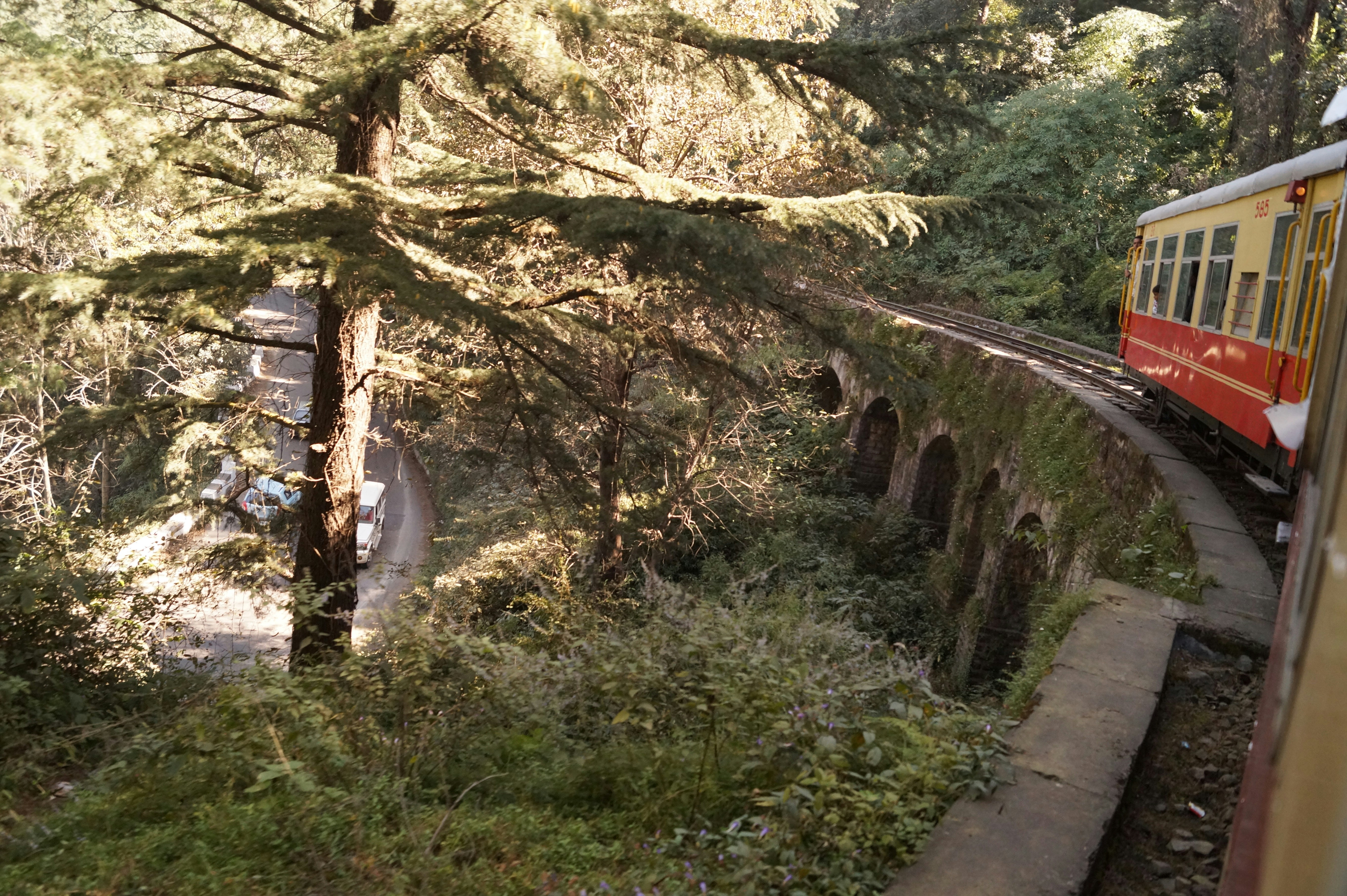 A red and yellow train traveling through a forest photo – Free Simla ...